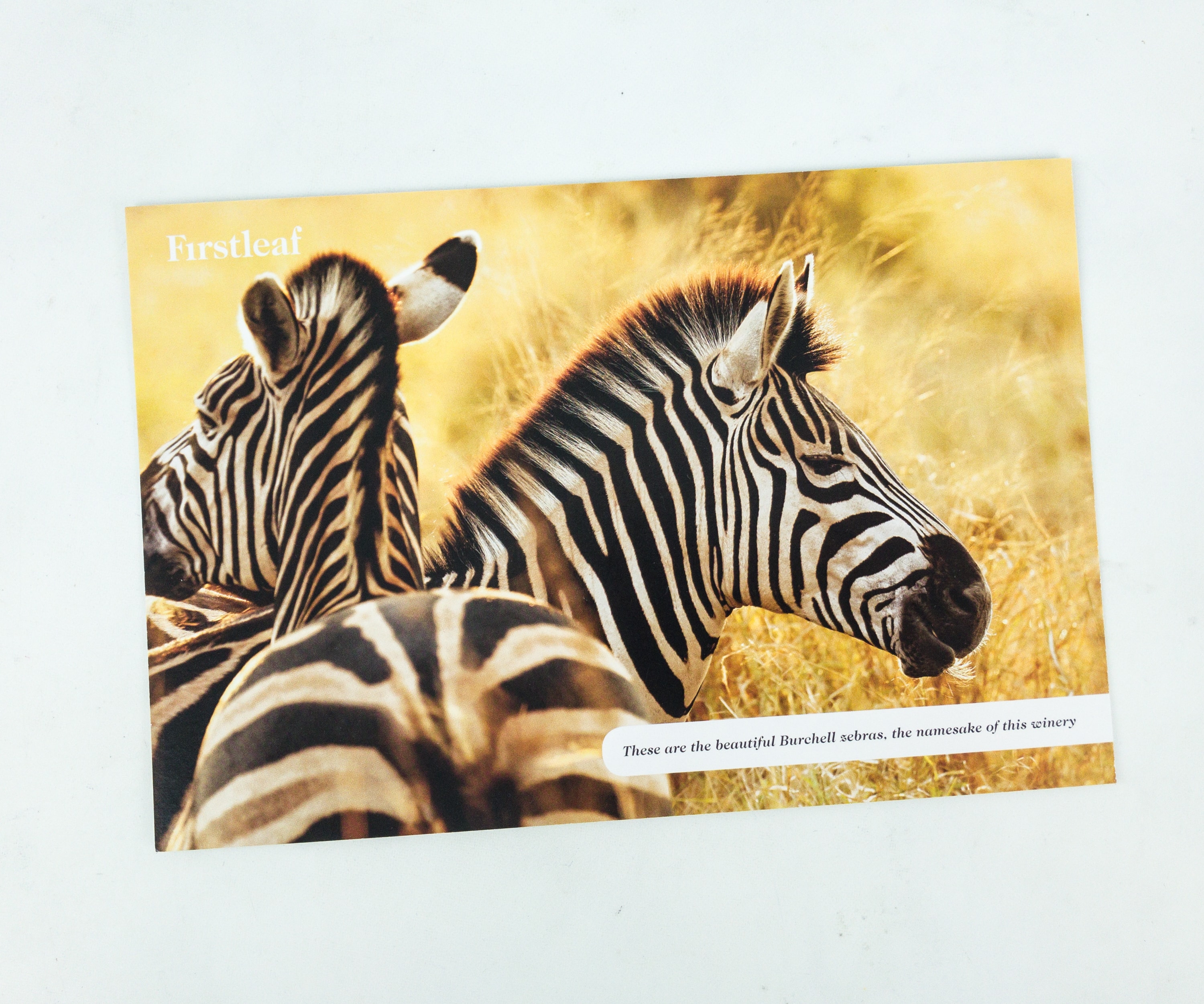 Firstleaf Wine Club April 2019 Subscription Box Review + Coupon - hello ...