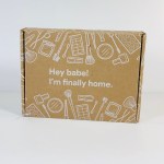 BabeBox by Focallure April 2019 Subscription Box Review - Hello ...