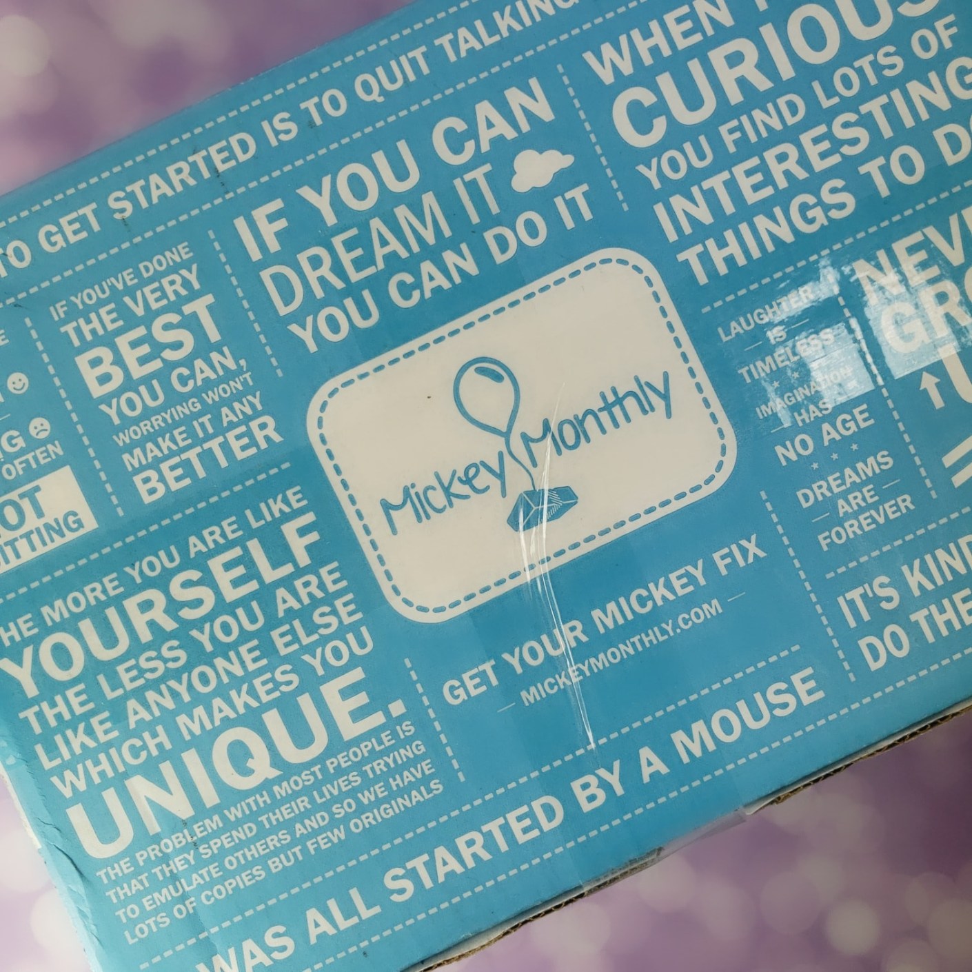 Mickey Monthly March 2019 Subscription Box Review + Coupon - Hello ...