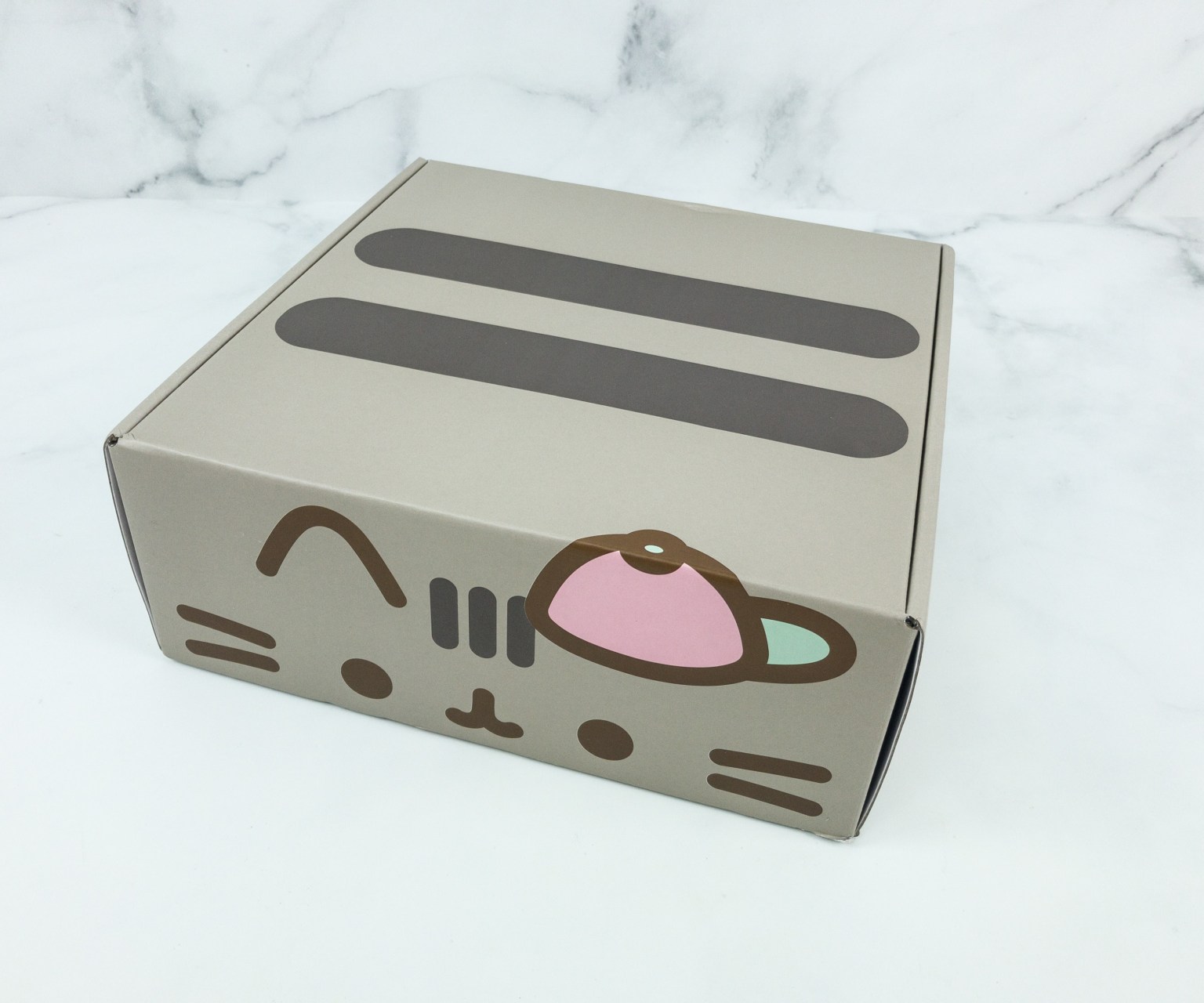 Pusheen Box Spring 2019 Subscription Box Review - Hello Subscription