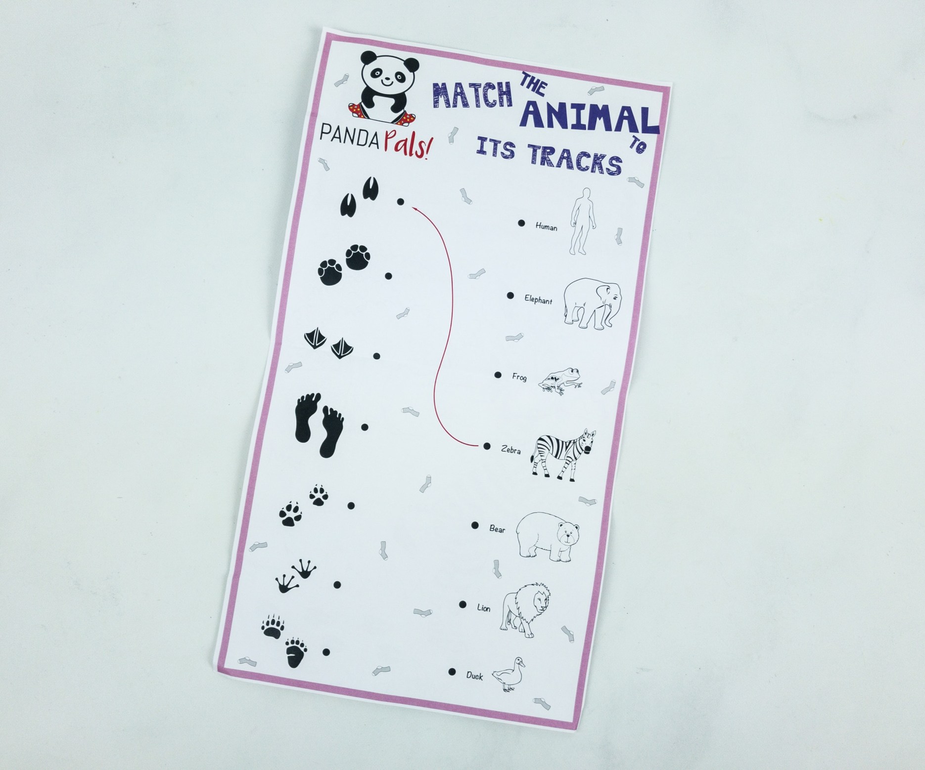 Panda Pals April 2019 Subscription Review & Coupon - Hello Subscription