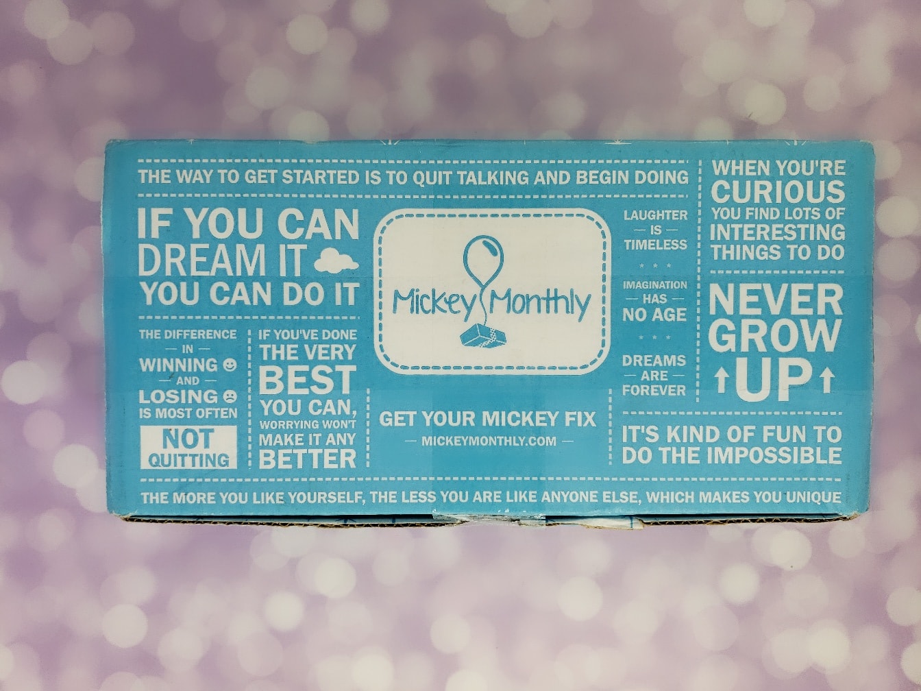 Mickey Monthly April 2019 Subscription Box Review + Coupon - Hello ...