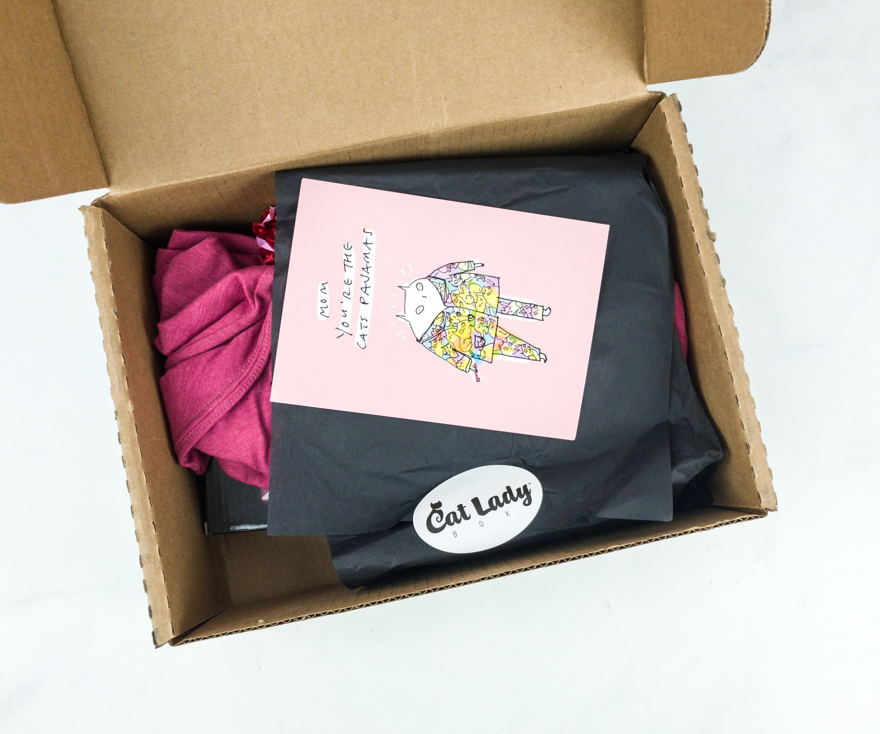 Cat Lady Box May 2019 Subscription Box Review + Coupon - Hello Subscription