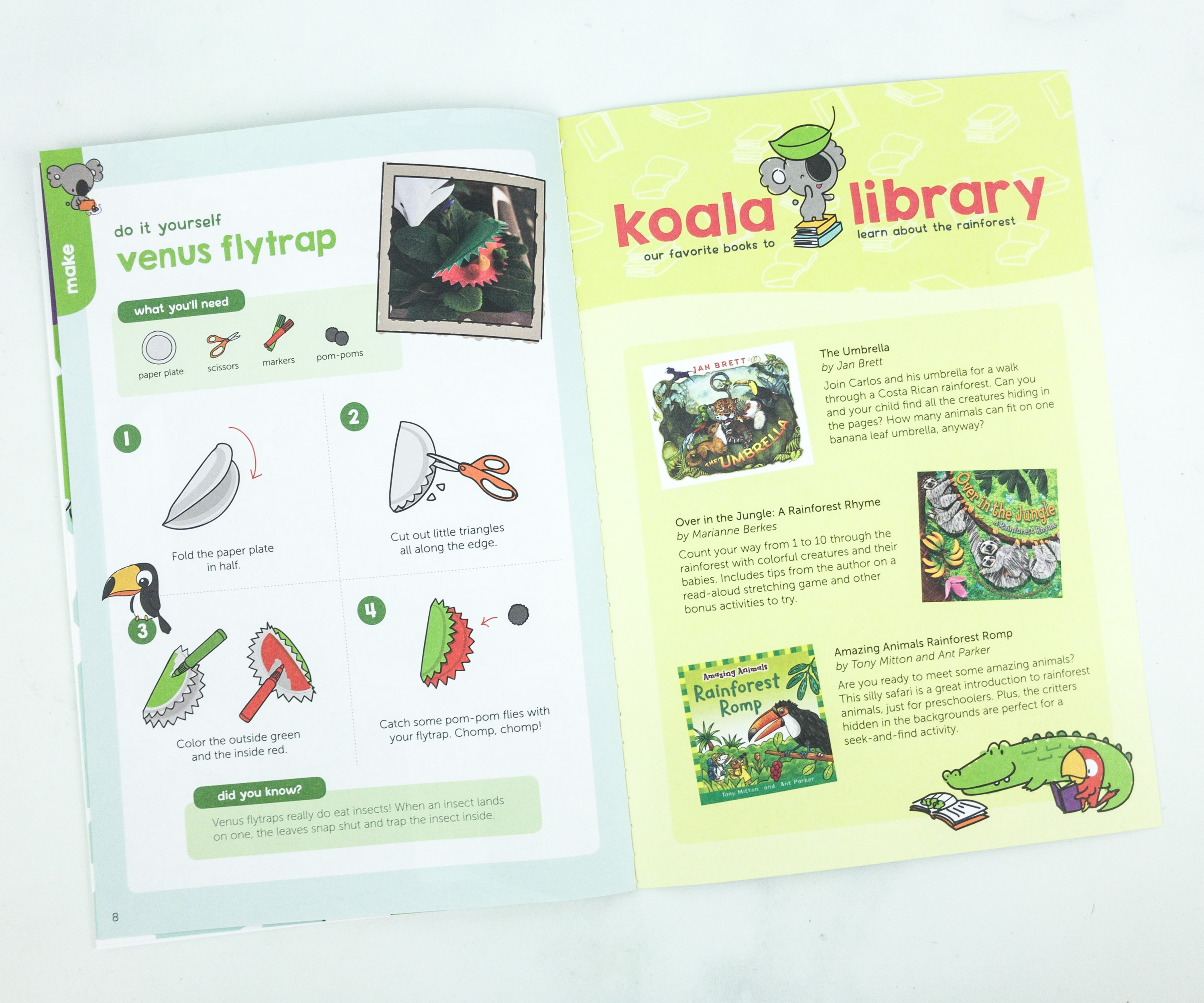 KiwiCo Koala Crate RAINFOREST Subscription Box Review & Coupon - hello ...