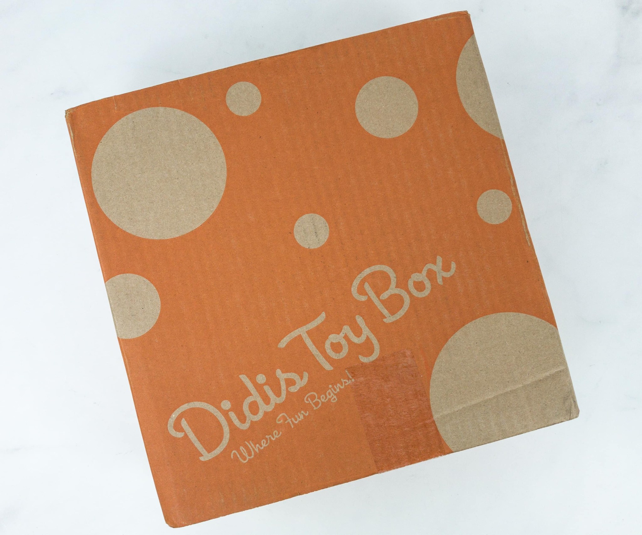 Didis Toy Box July 2019 Subscription Box Review & Coupon - Hello ...