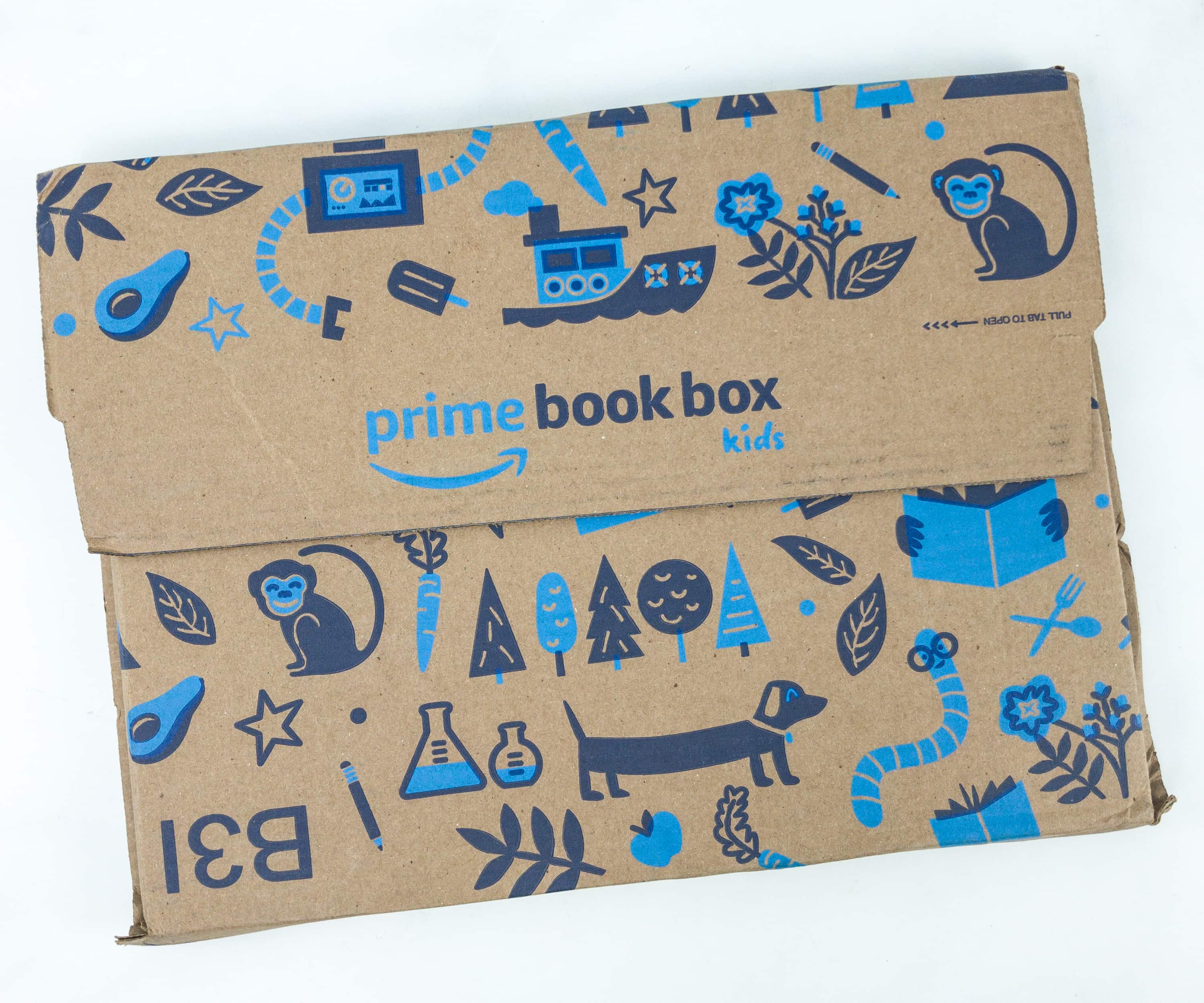 Amazon Book Box Kids Review + Coupon - AGE 3-5 June 2019 - Hello ...