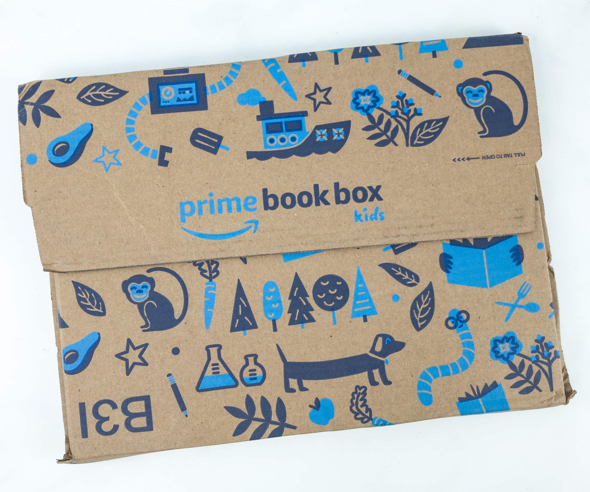 Amazon Book Box Kids Review + Coupon - AGE 3-5 June 2019 - Hello ...