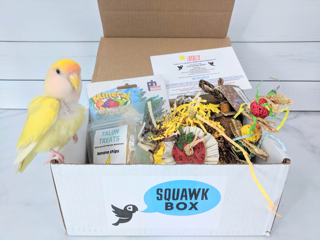 Squawk Box July 2019 Subscription Review - Hello Subscription