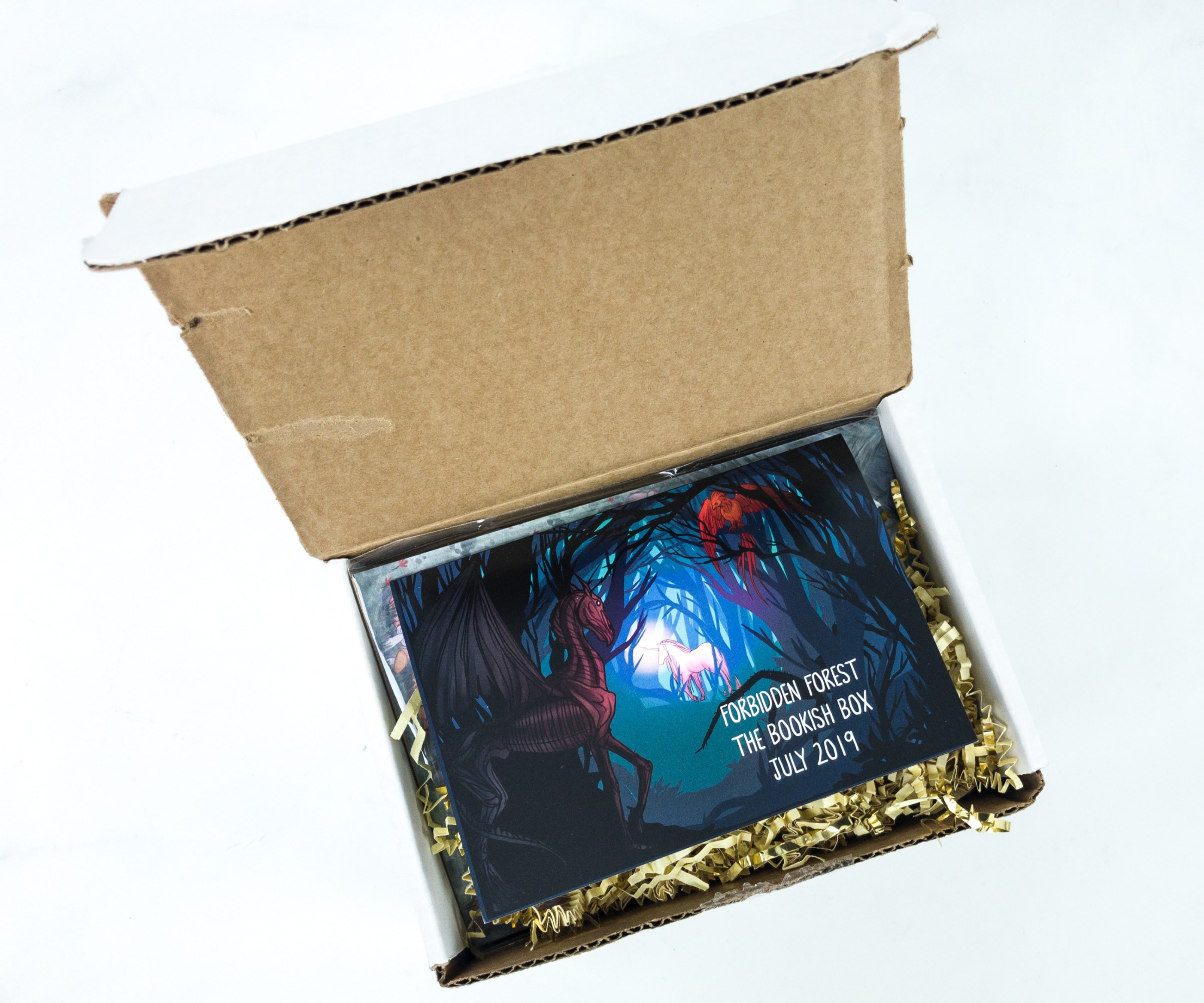 The Bookish Box July 2019 Subscription Box Review + Coupon - Hello ...