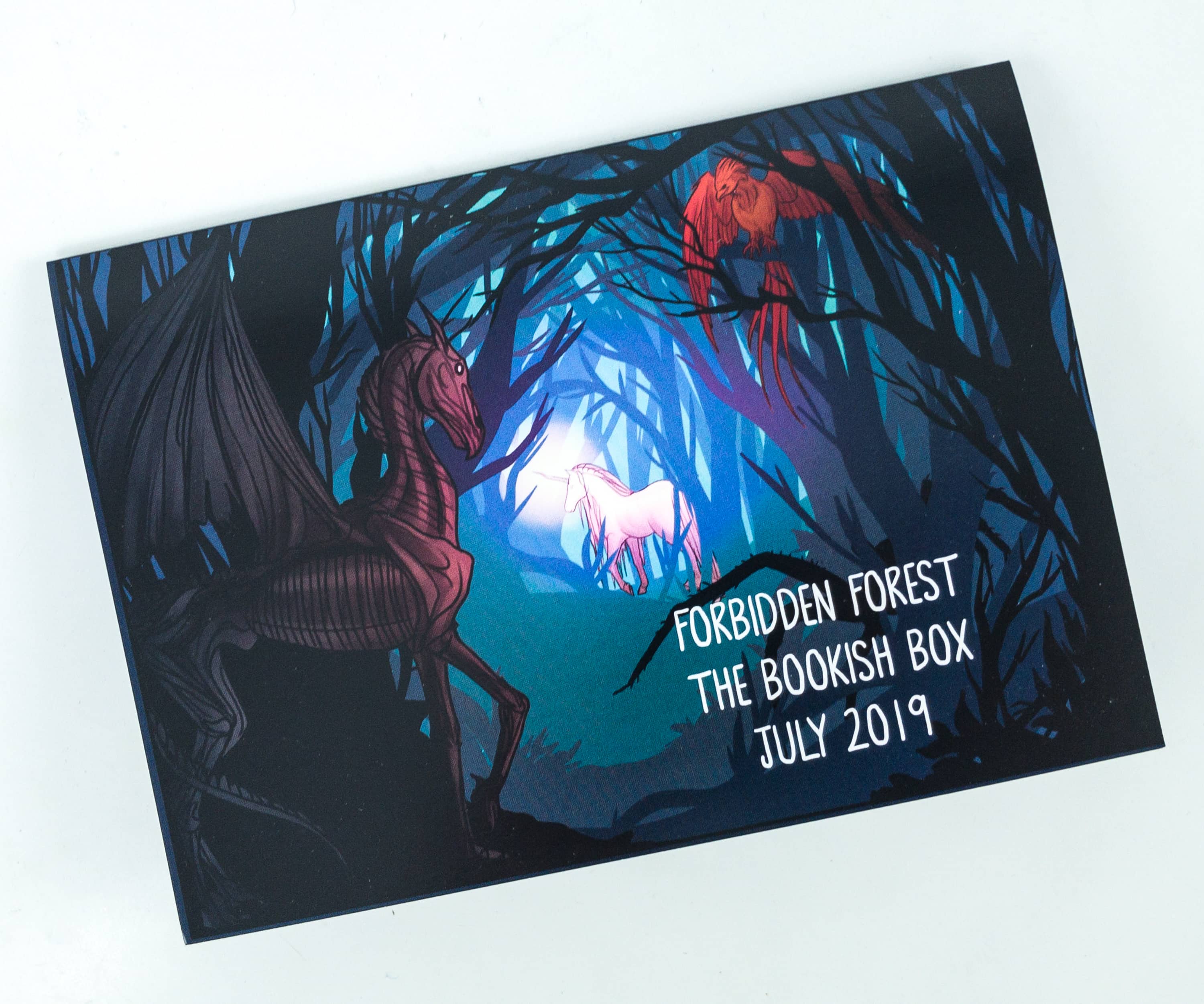 The Bookish Box July 2019 Subscription Box Review + Coupon - Hello ...