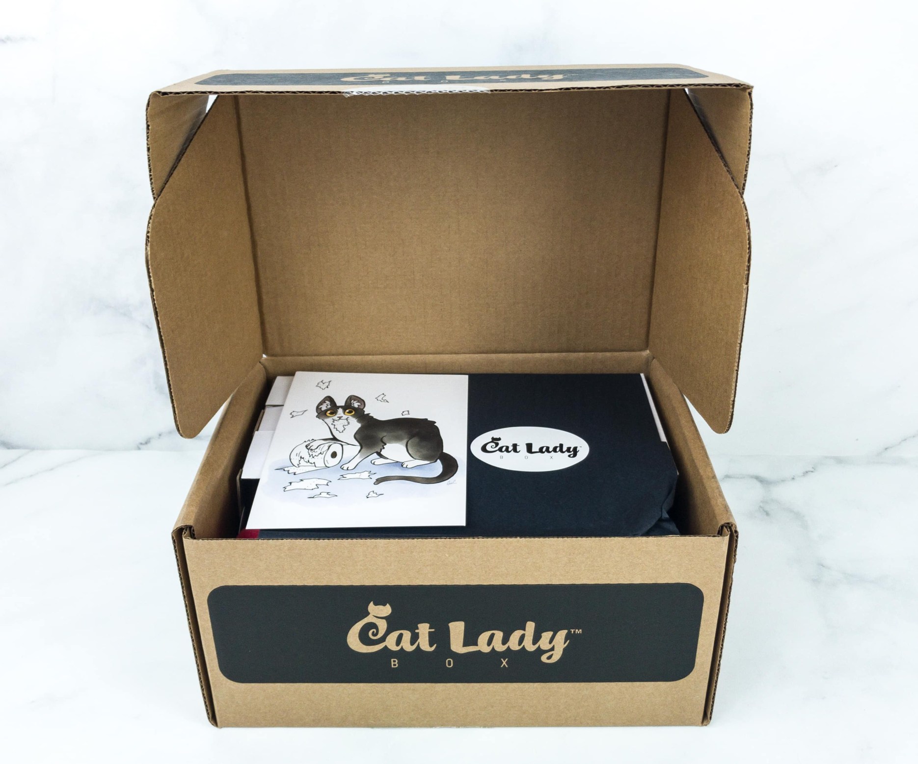 Cat Lady Box July 2019 Subscription Box Review + Coupon - Hello ...