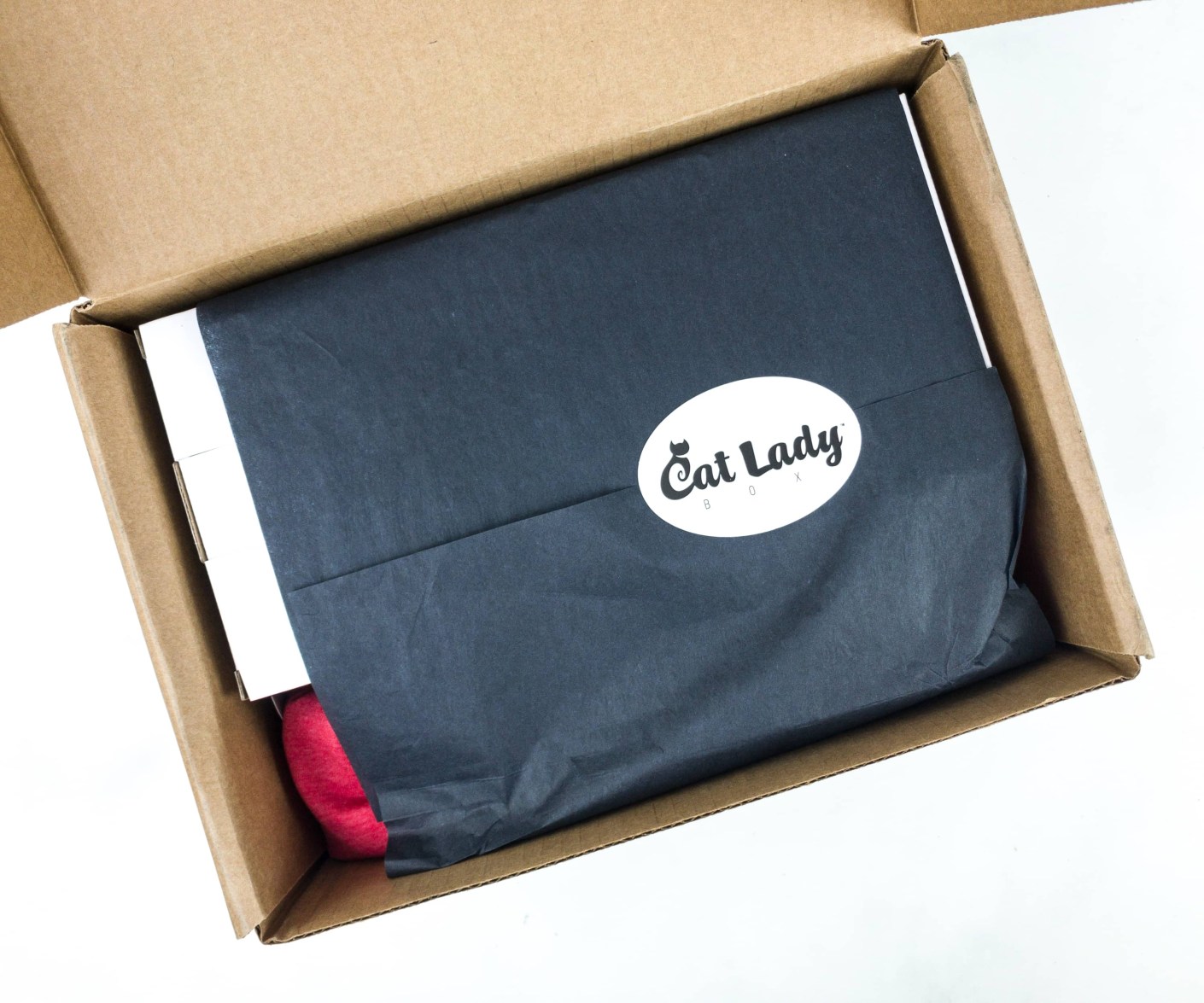 Cat Lady Box July 2019 Subscription Box Review + Coupon - Hello ...