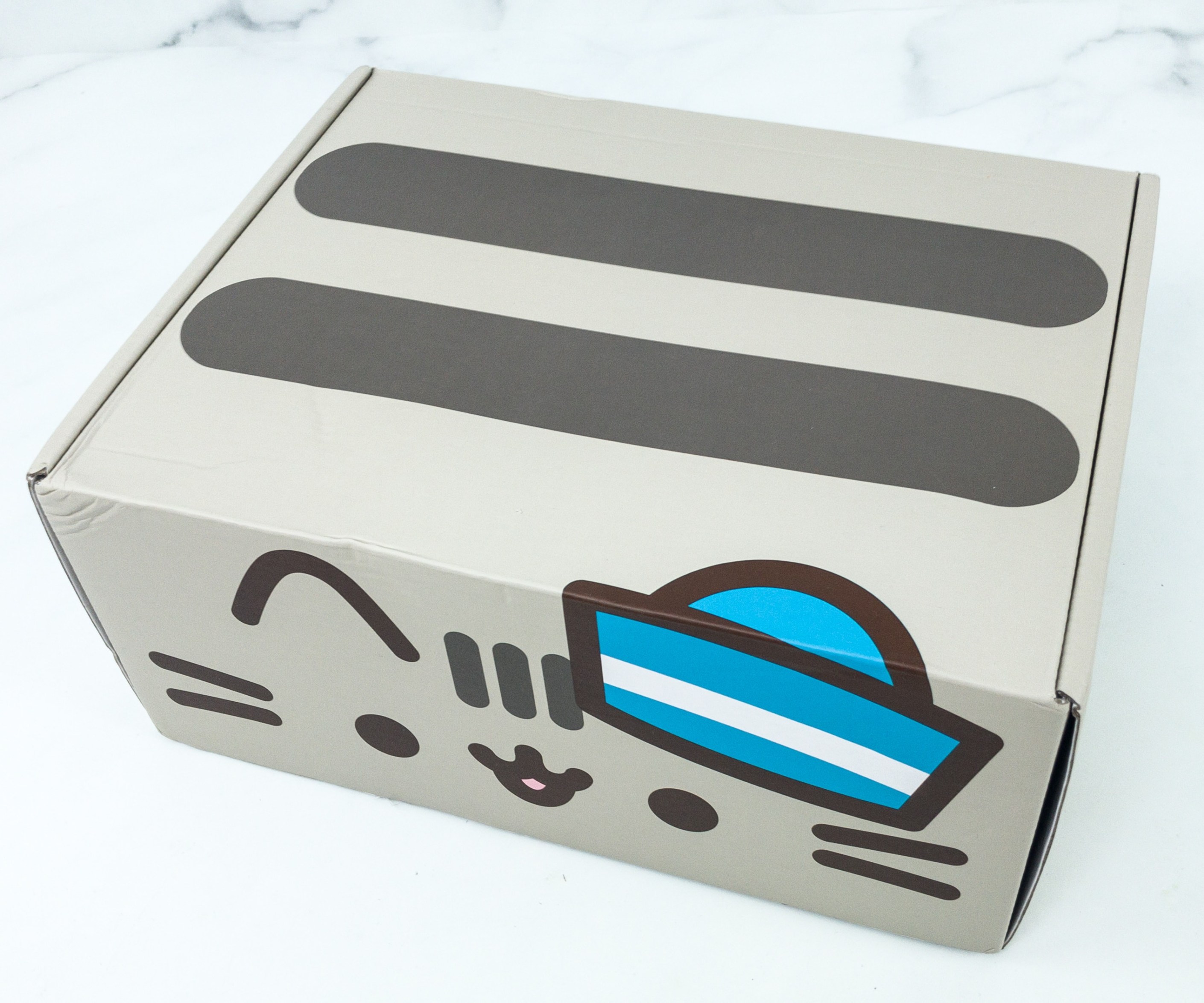 Pusheen Box Summer 2019 Subscription Box Review - Hello Subscription