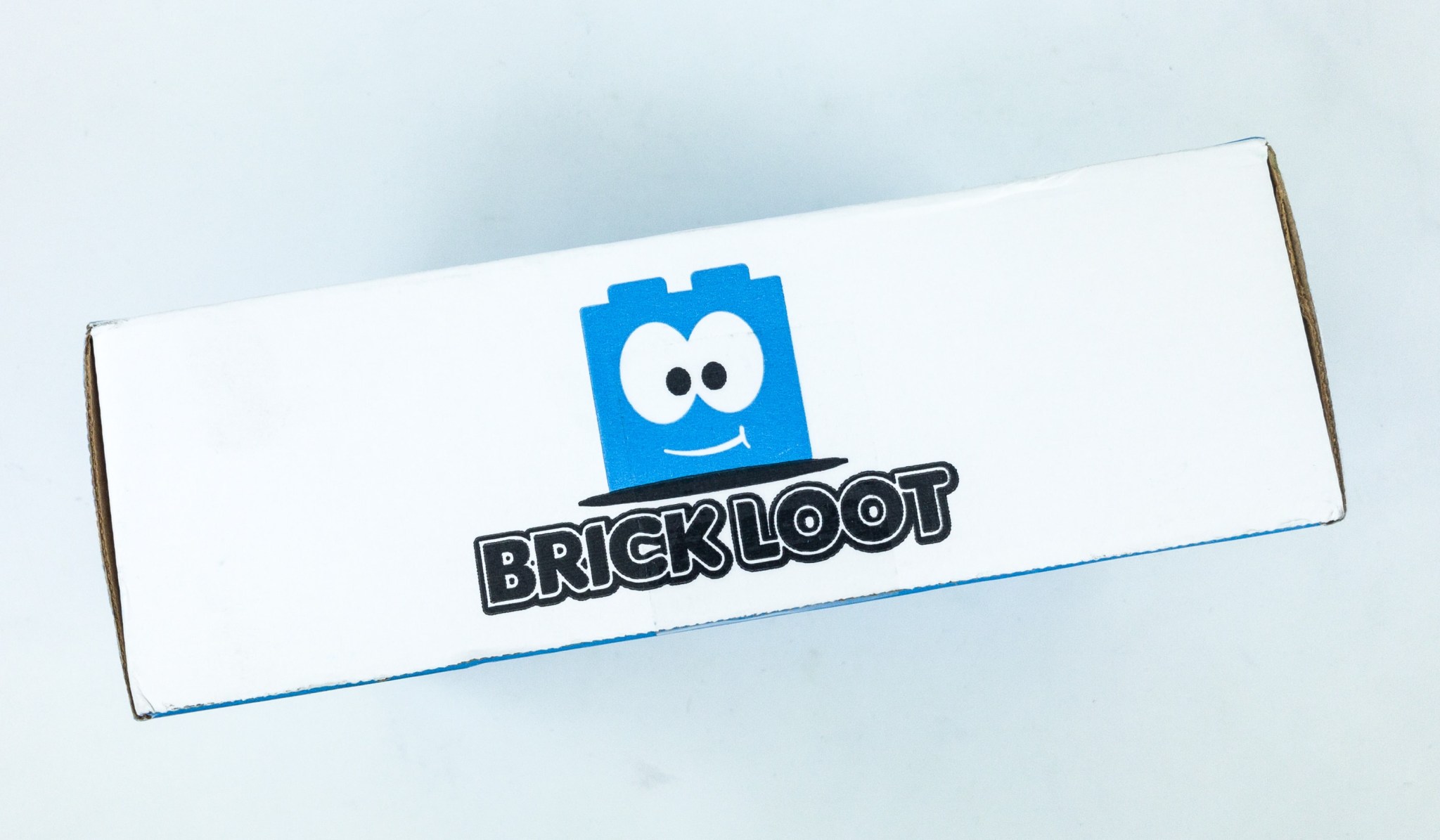 Brick Loot August 2019 Subscription Box Review & Coupon - Hello ...