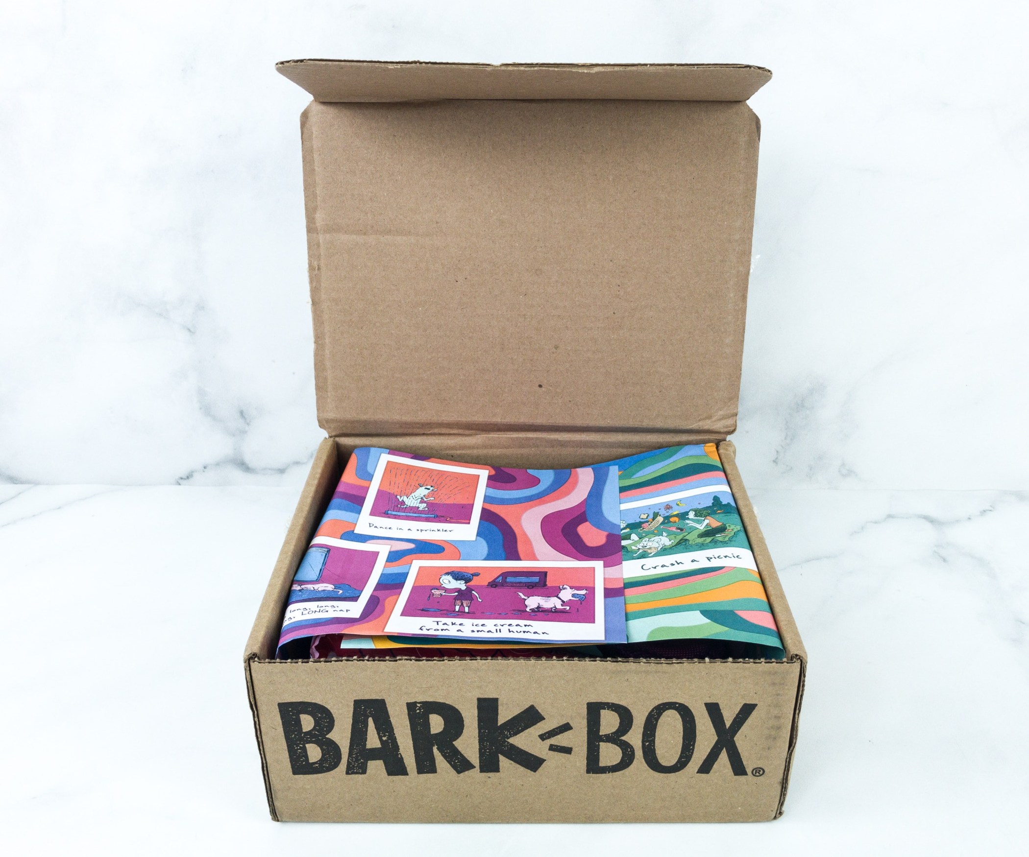 Barkbox August 2019 Subscription Box Review + Coupon - Hello Subscription