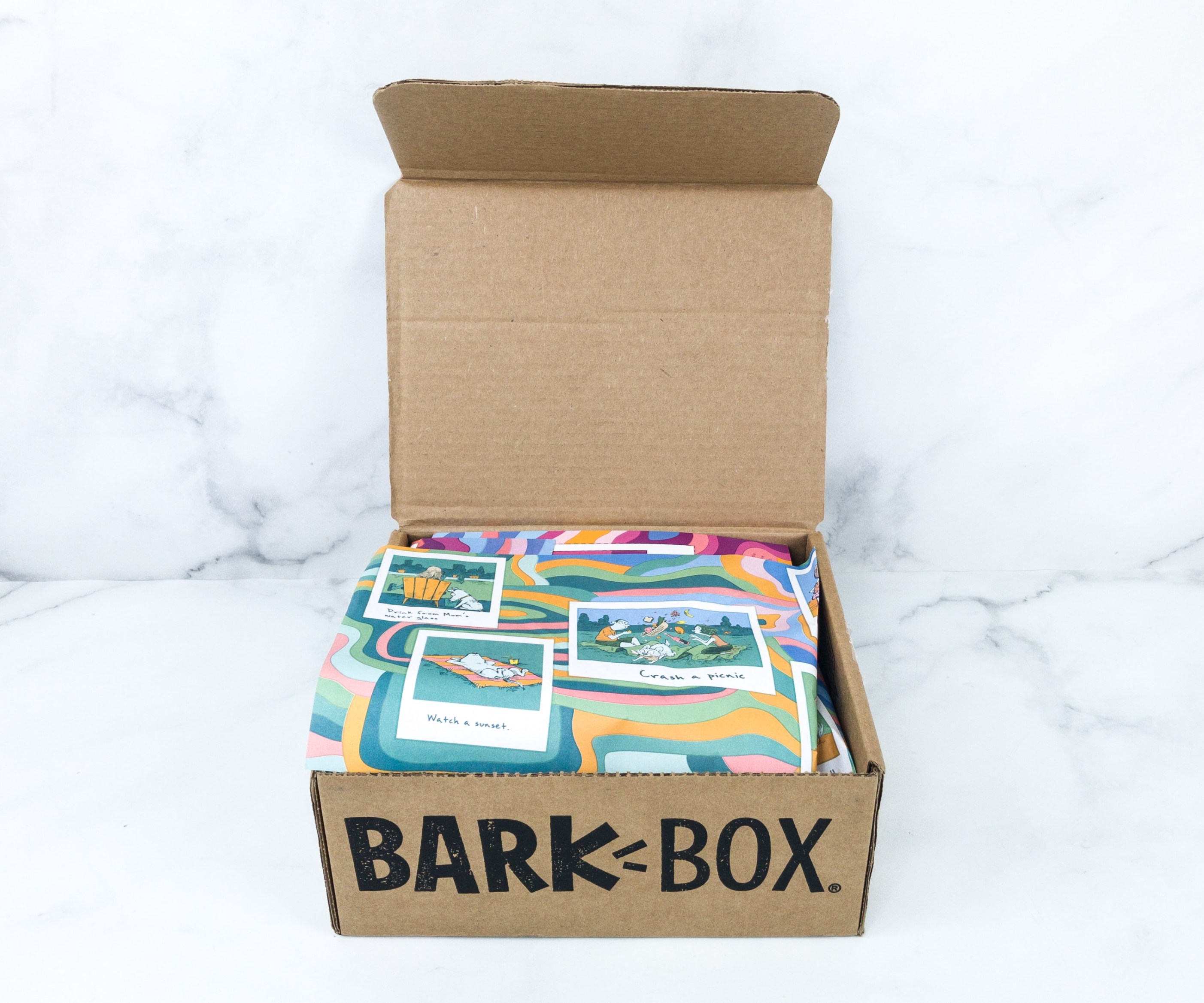 Barkbox August 2019 Subscription Box Review + Coupon - Large Dog ...
