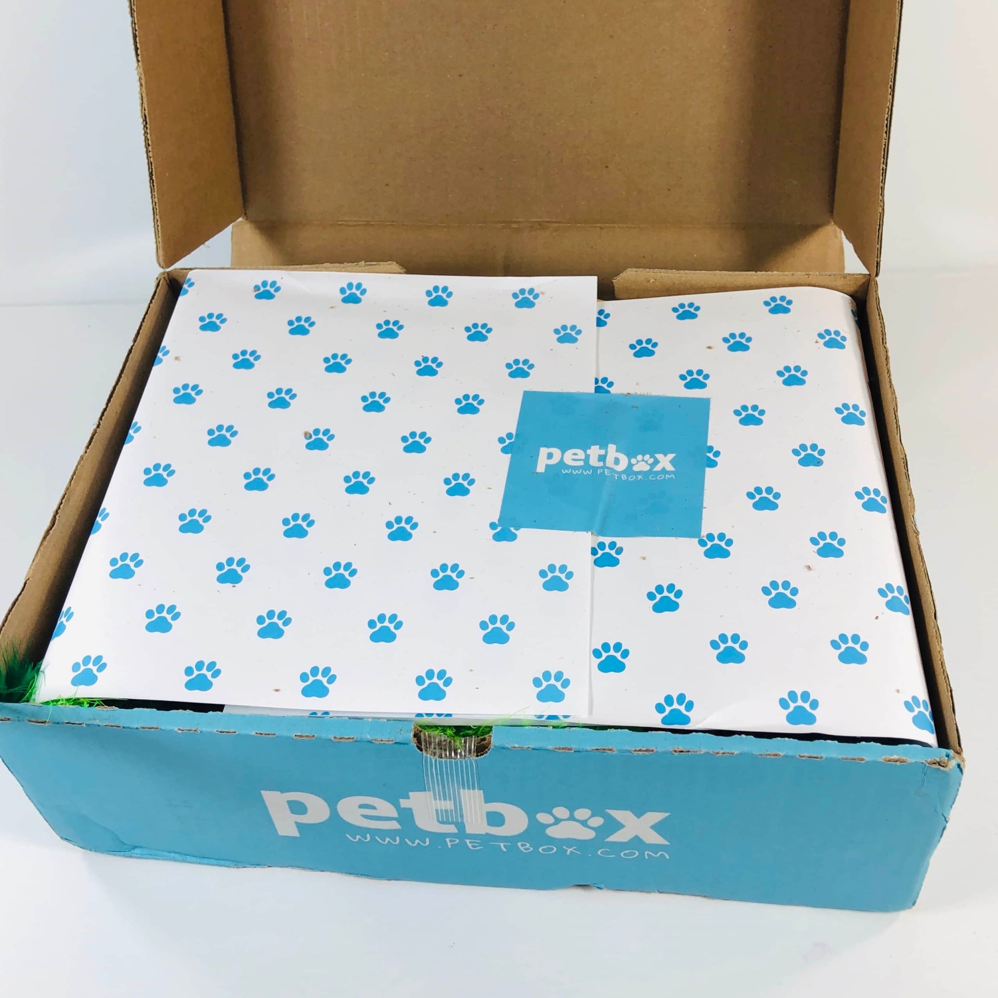 PetBox CAT August 2019 Subscription Review & 50% Off Coupon - Hello ...