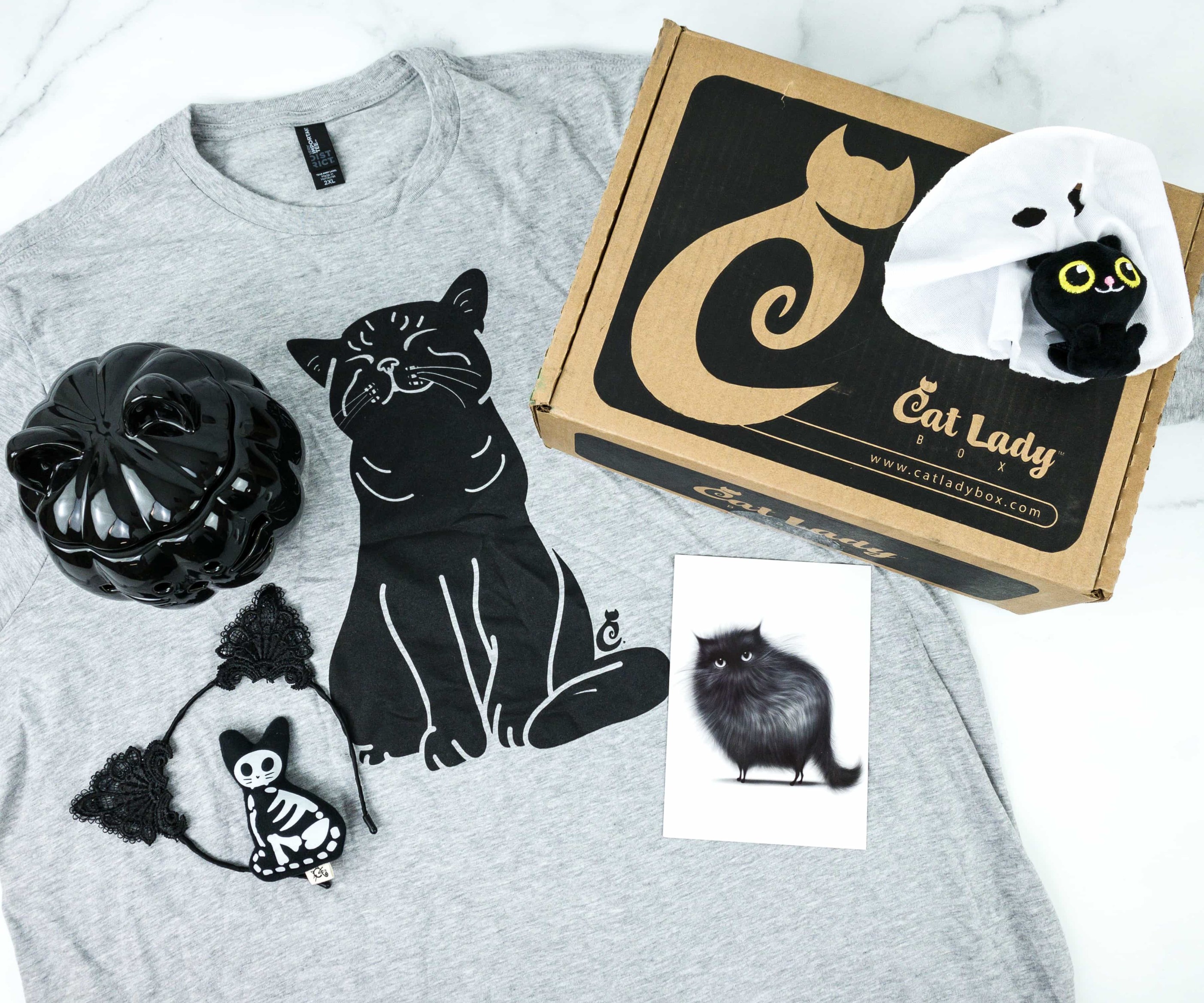 Cat Lady Box Reviews: Get All The Details At Hello Subscription!