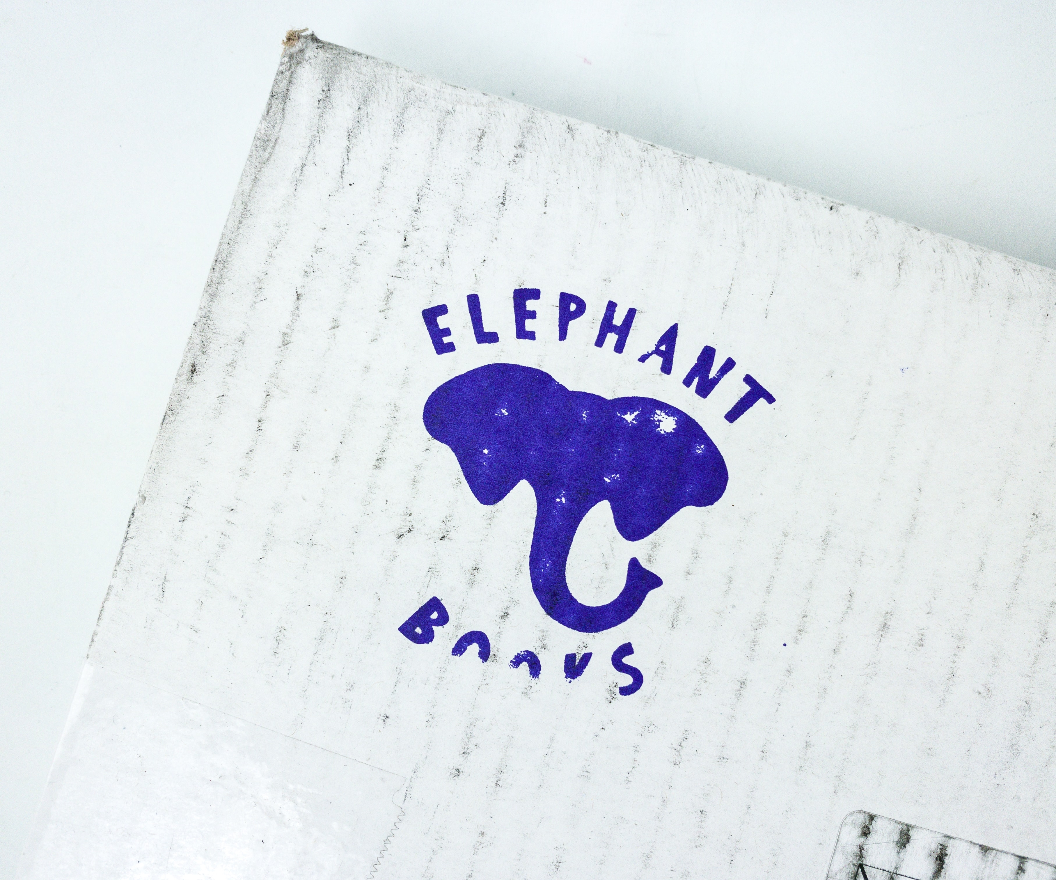 Elephant Books November 2019 Subscription Box Reviews - PICTURE BOOKS ...
