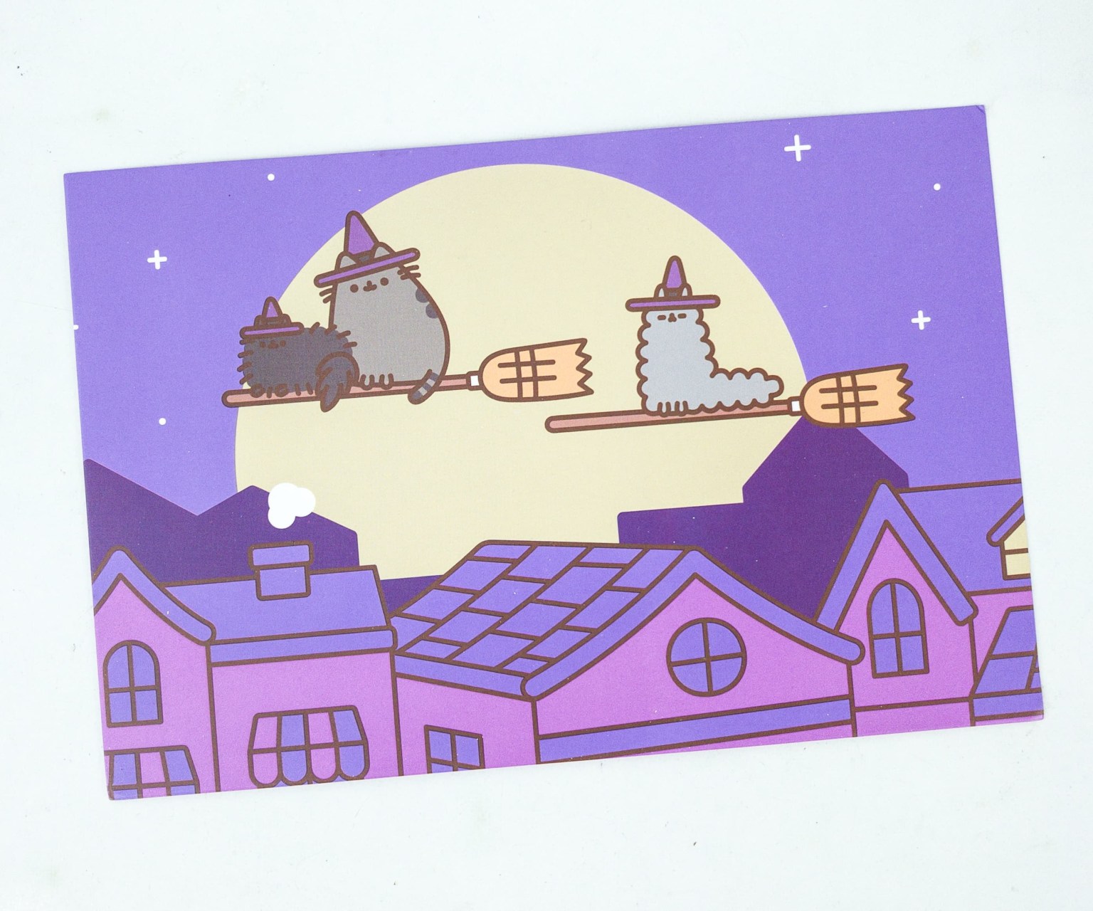 Pusheen Box Fall 2019 Subscription Box Review - Hello Subscription