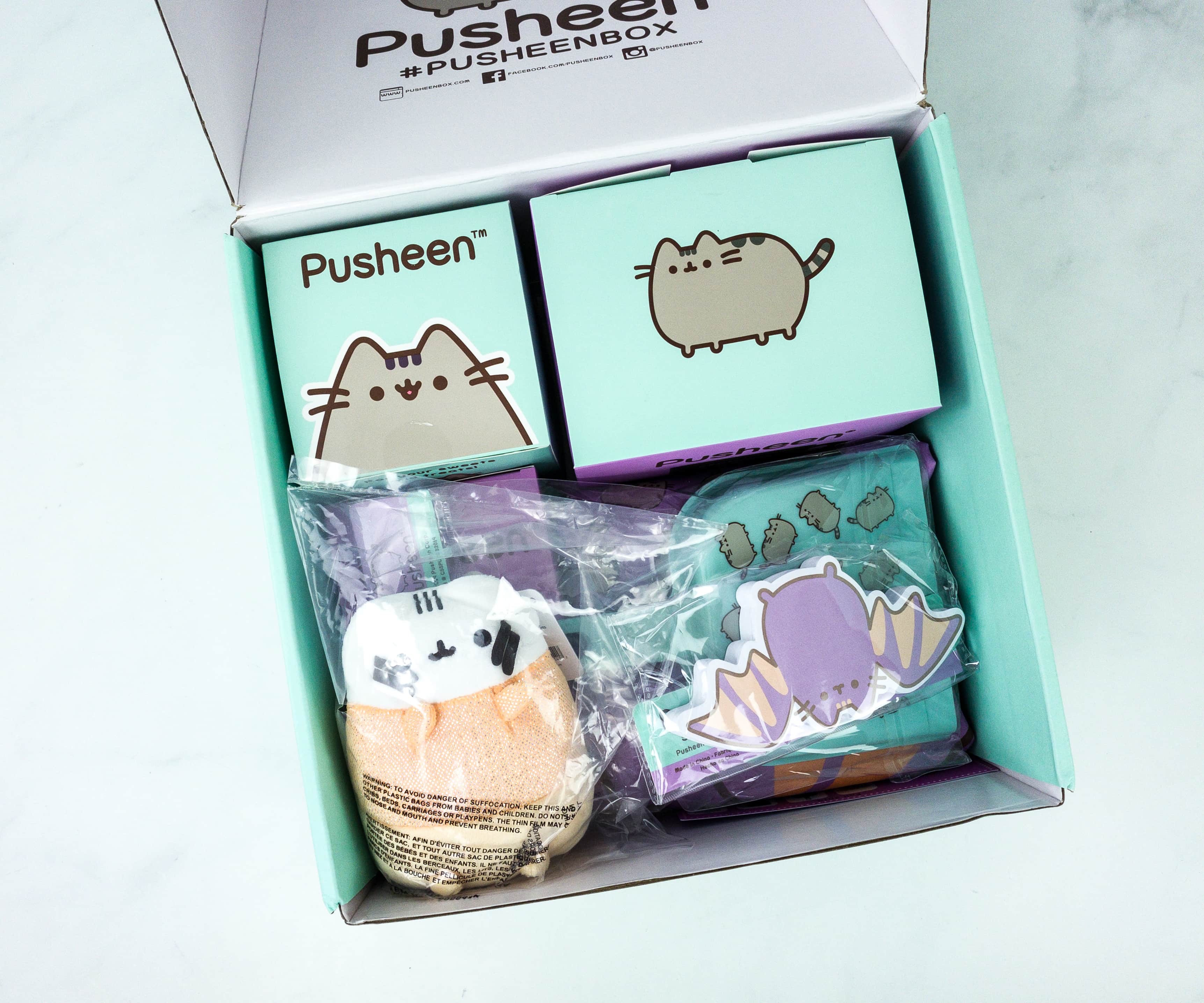 Pusheen Box Fall 2019 Subscription Box Review - Hello Subscription