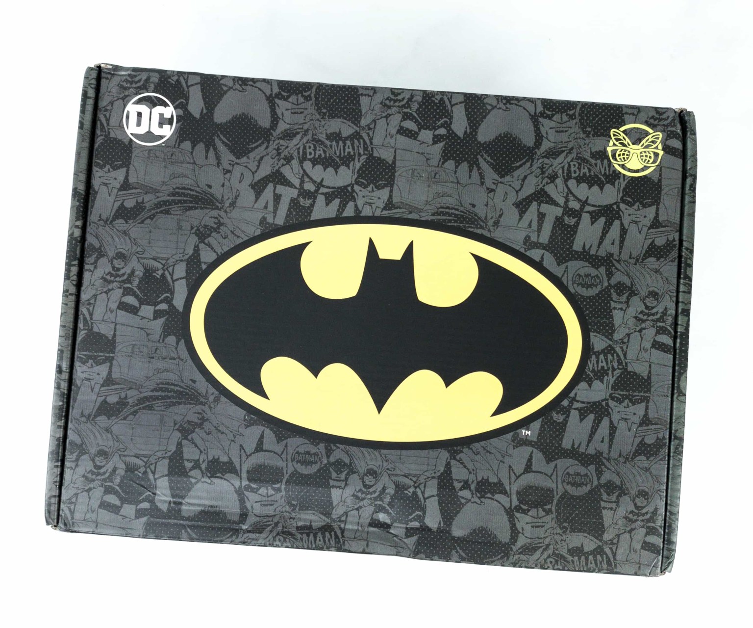 DC Comics World’s Finest: The Collection Fall 2019 Box Review - BATMAN ...