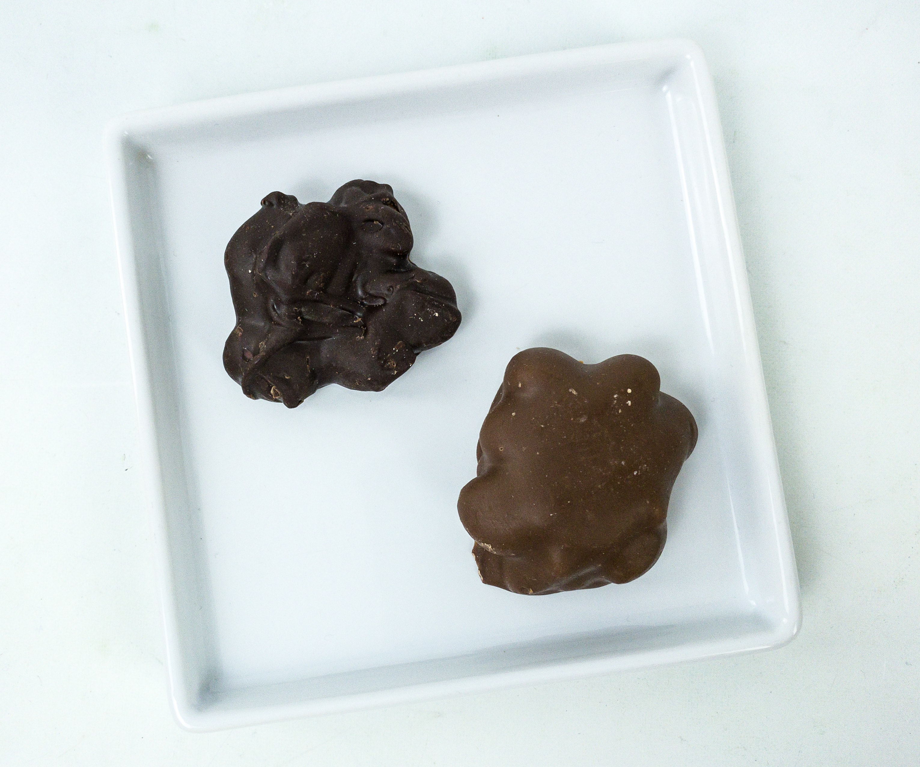 Jackie's Chocolate November 2019 Subscription Box Review + Coupon ...