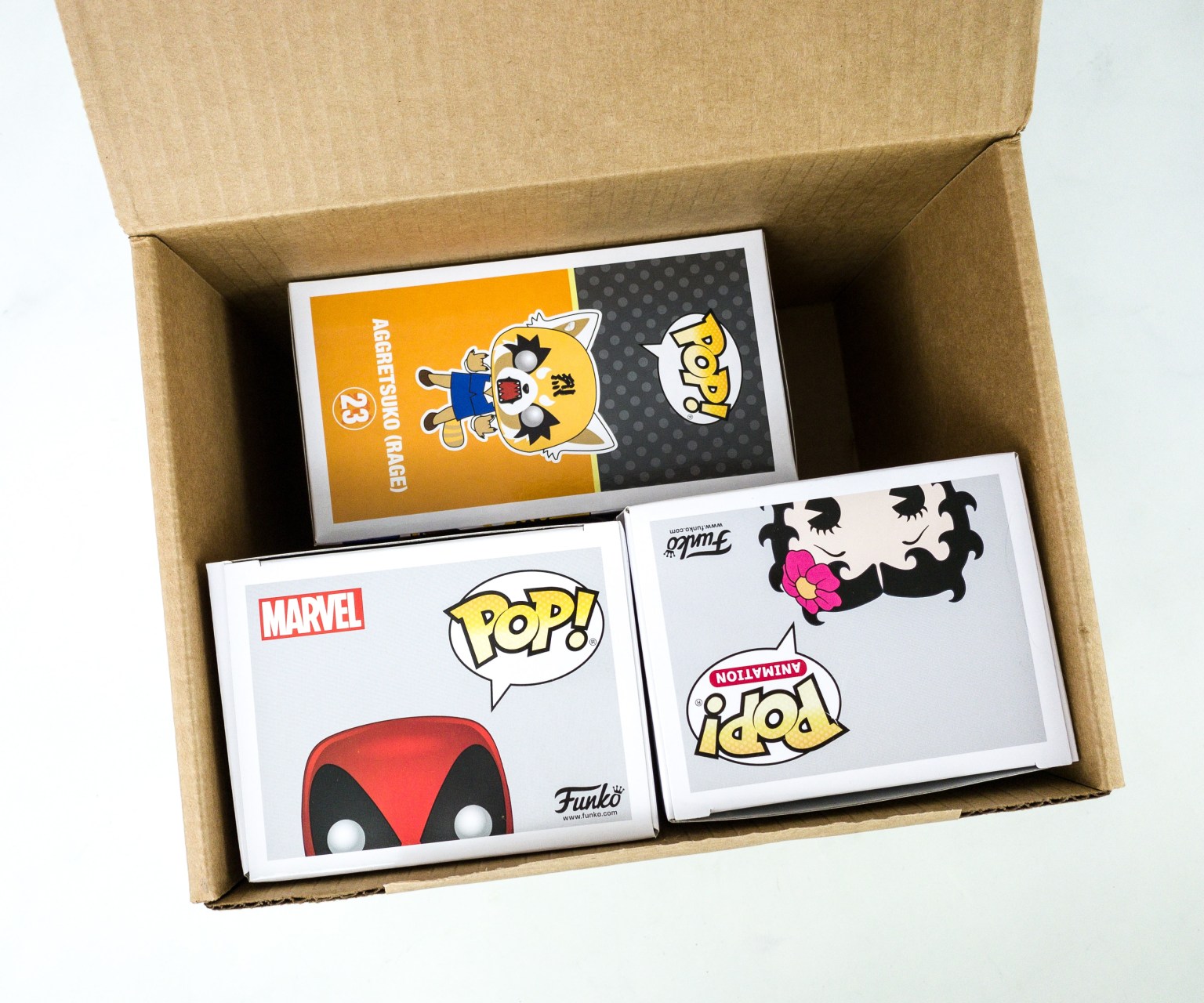 Pop In A Box November 2019 Funko Subscription Box Review & Coupon ...