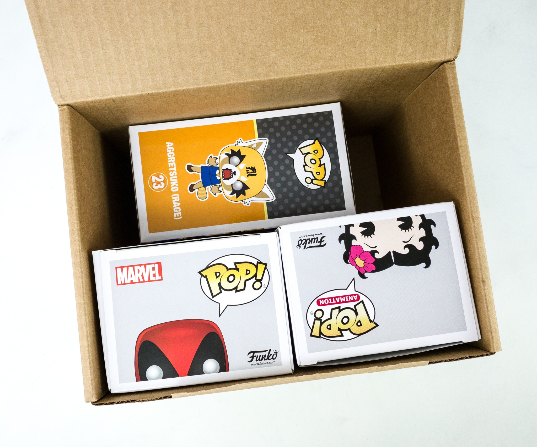 Pop In A Box November 2019 Funko Subscription Box Review & Coupon ...