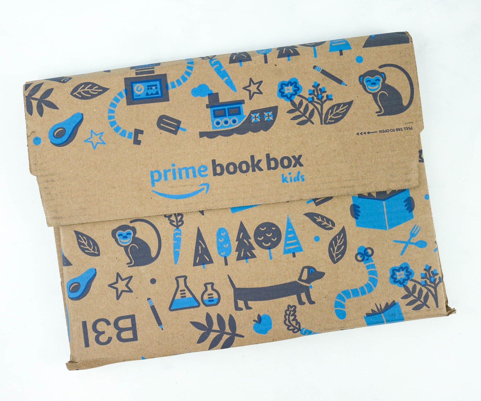 Amazon Book Box Kids November 2019 AGE 3-5 Review + BLACK FRIDAY Coupon ...