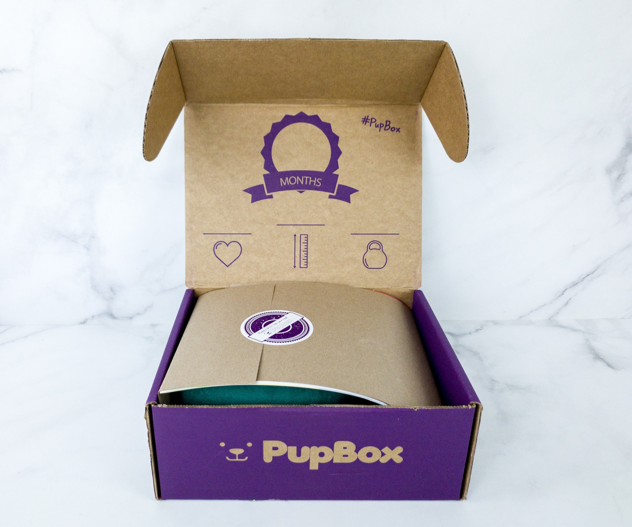 PupBox November 2019 Subscription Box Review + Coupon! - Hello Subscription