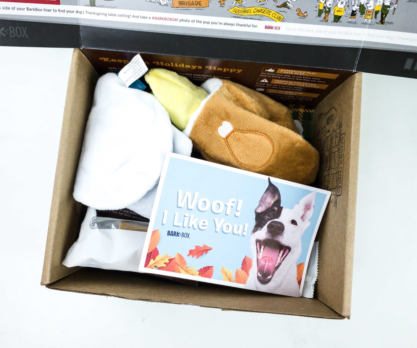 Barkbox November 2019 Subscription Box Review + Coupon - Hello Subscription