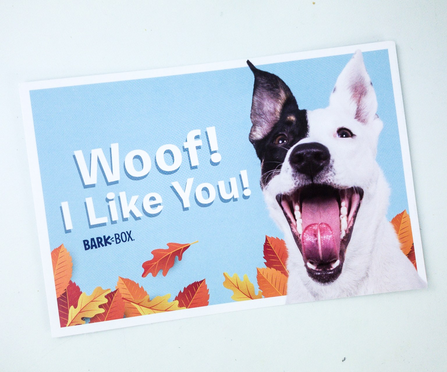 Barkbox November 2019 Subscription Box Review + Coupon - Large Dog ...