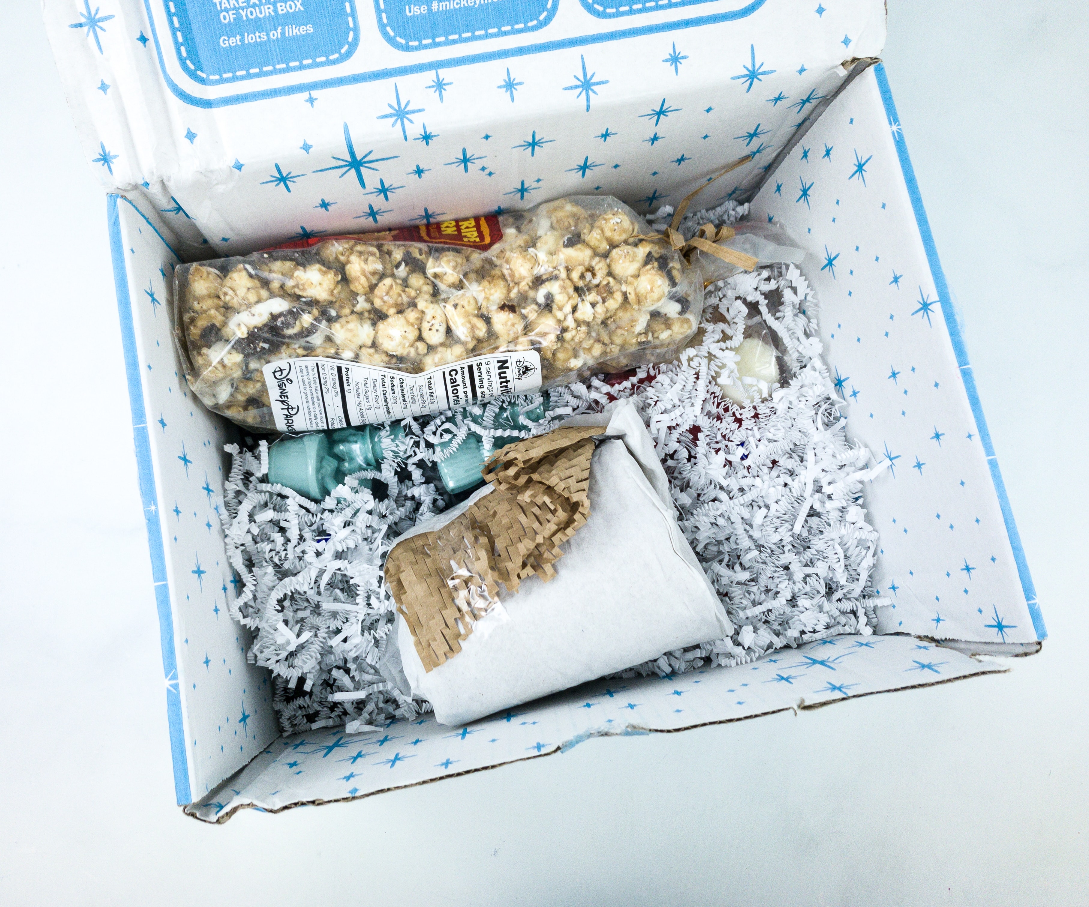 Mickey Monthly November 2019 Subscription Box Review + Coupon - Hello ...