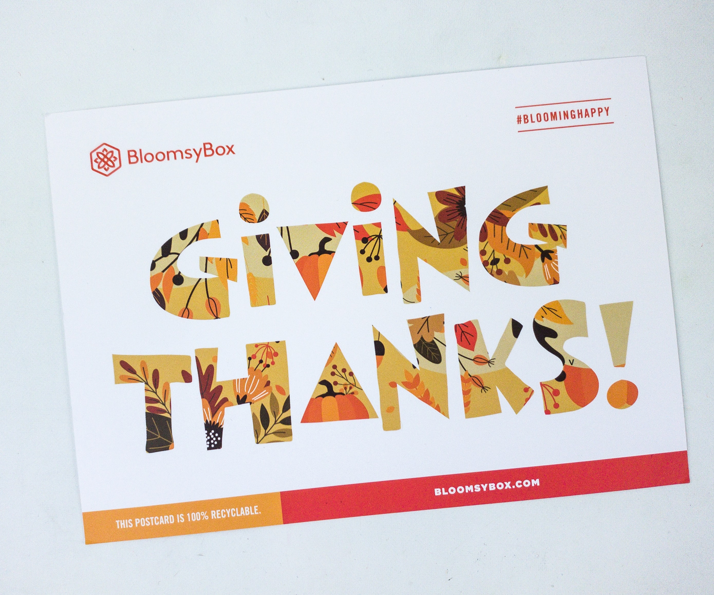 BloomsyBox Flower November 2019 Subscription Box Review & Coupon ...