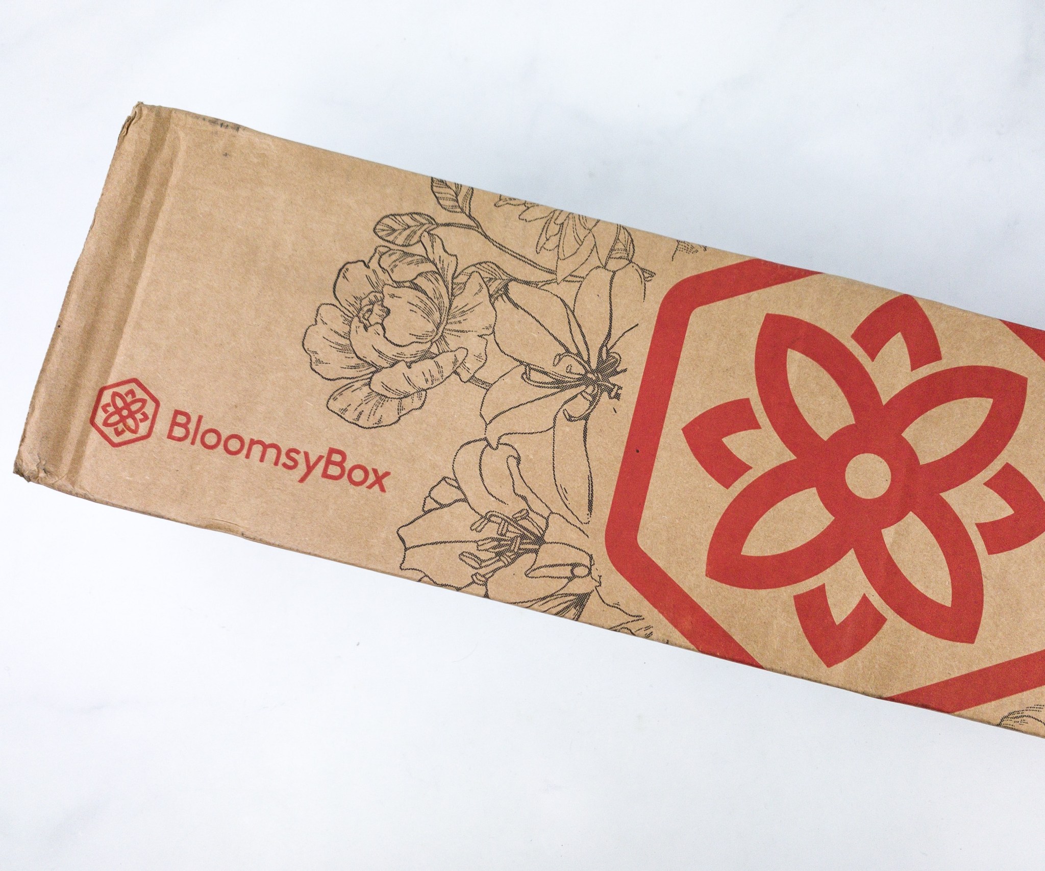 BloomsyBox Flower November 2019 Subscription Box Review & Coupon ...