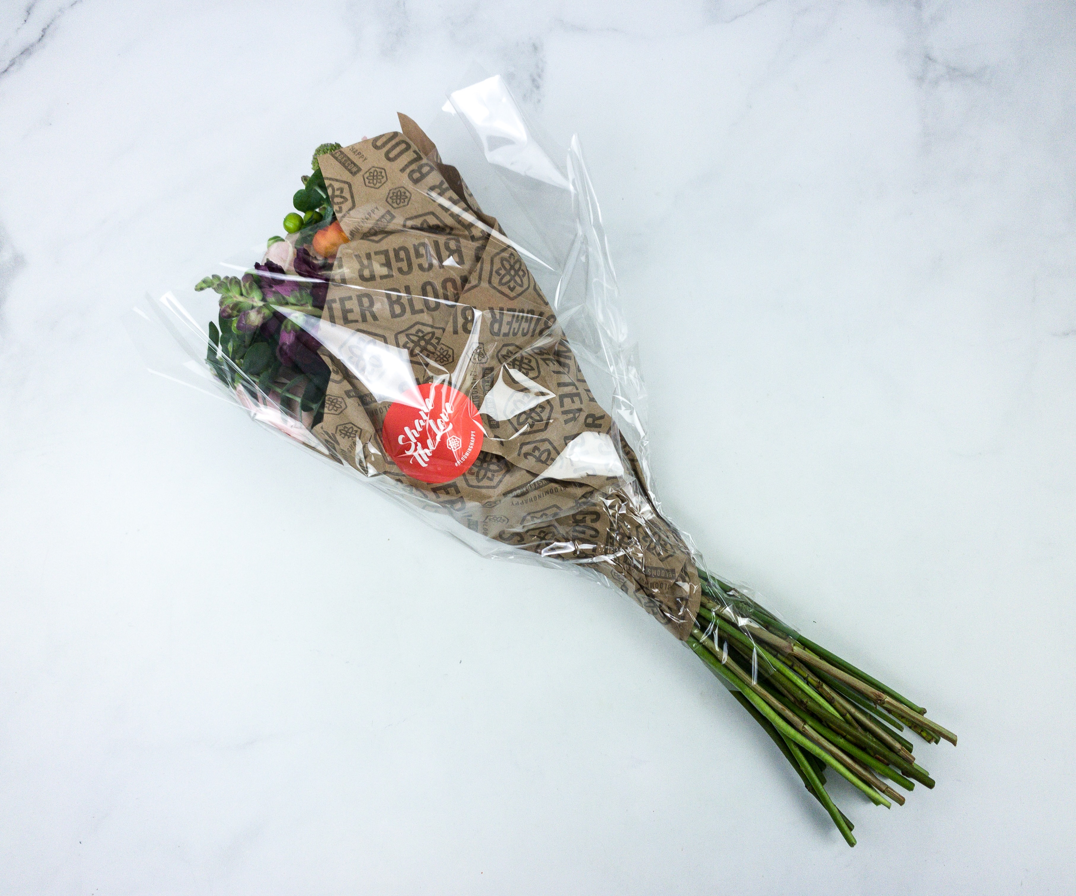 BloomsyBox Flower November 2019 Subscription Box Review & Coupon ...