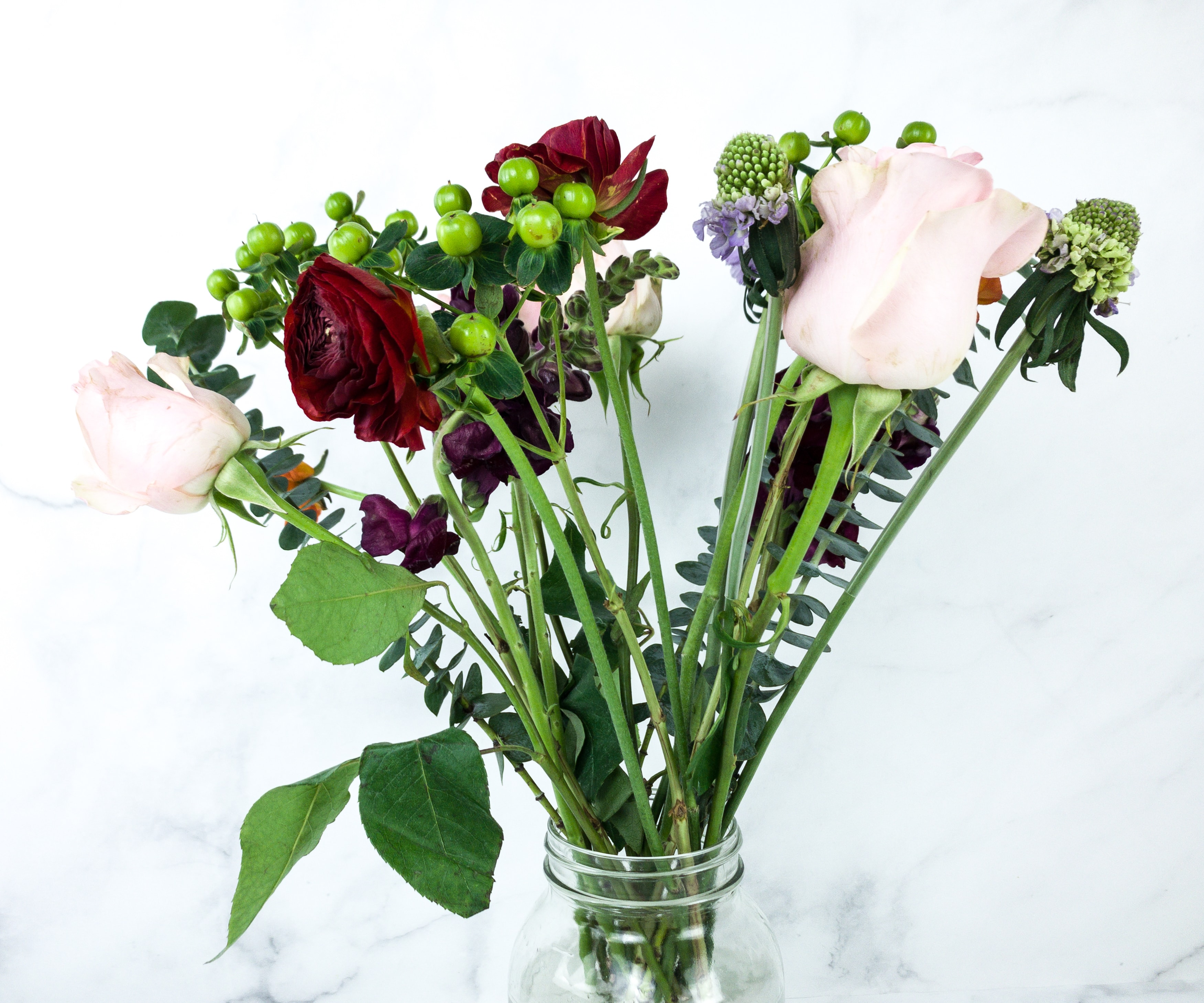 BloomsyBox Flower November 2019 Subscription Box Review & Coupon ...