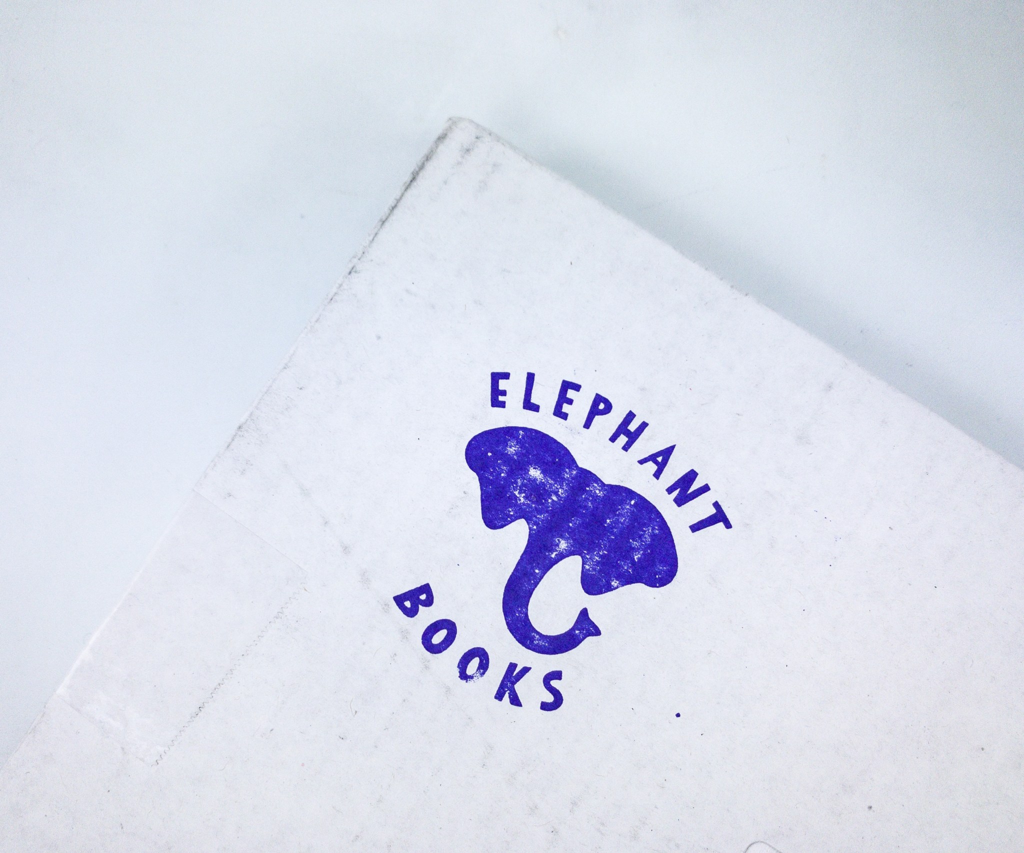 Elephant Books December 2019 Subscription Box Reviews - PICTURE BOOKS ...