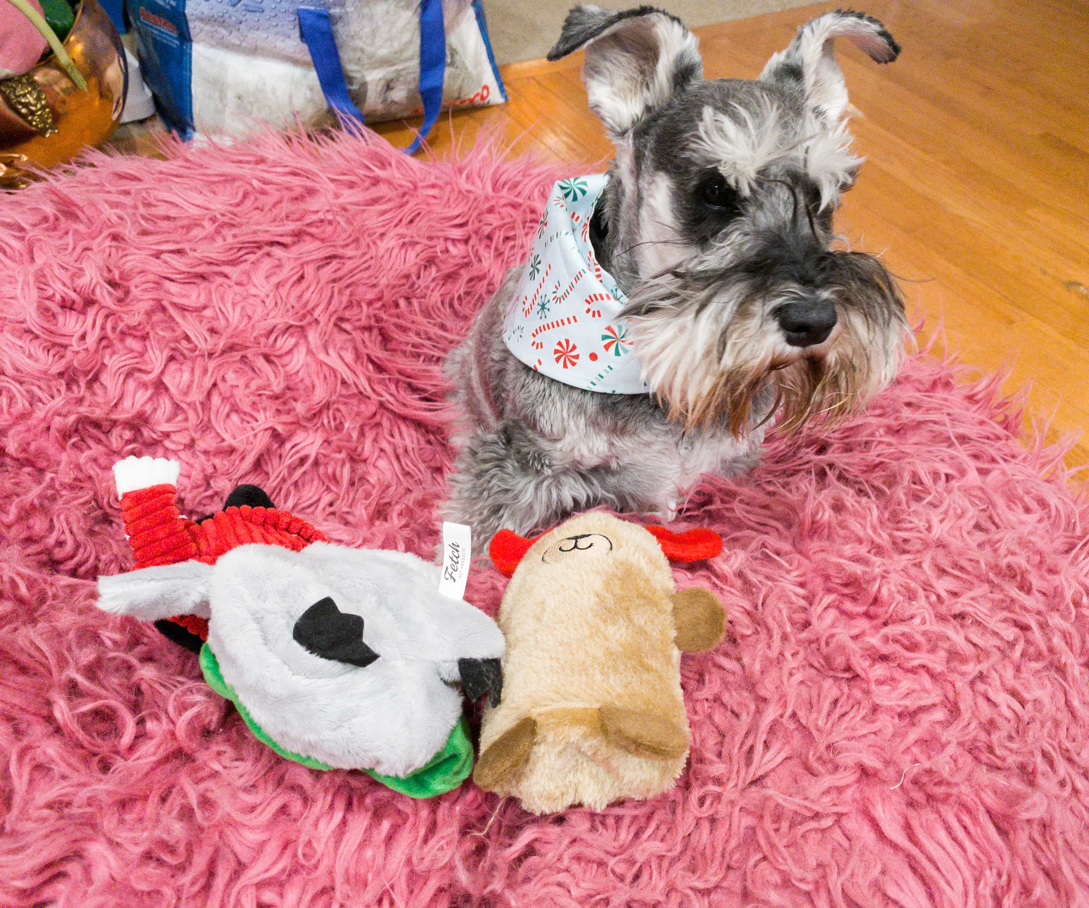 The Dapper Dog Box December 2019 Subscription Box Review + Coupon ...