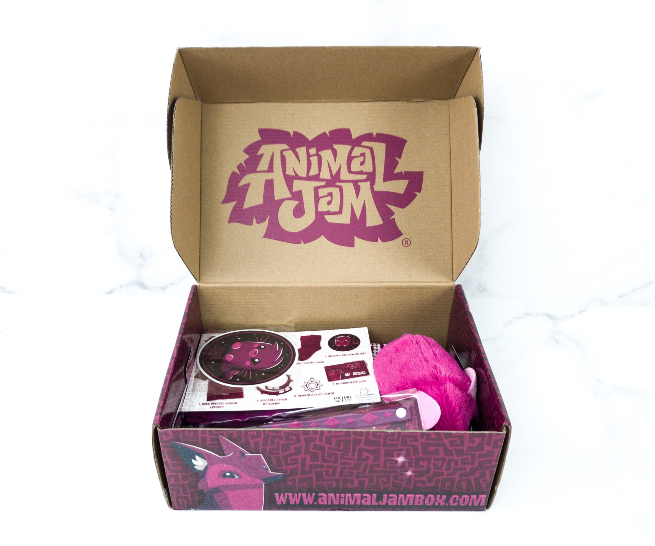 Animal Jam Box Winter 2019 Review - Hello Subscription