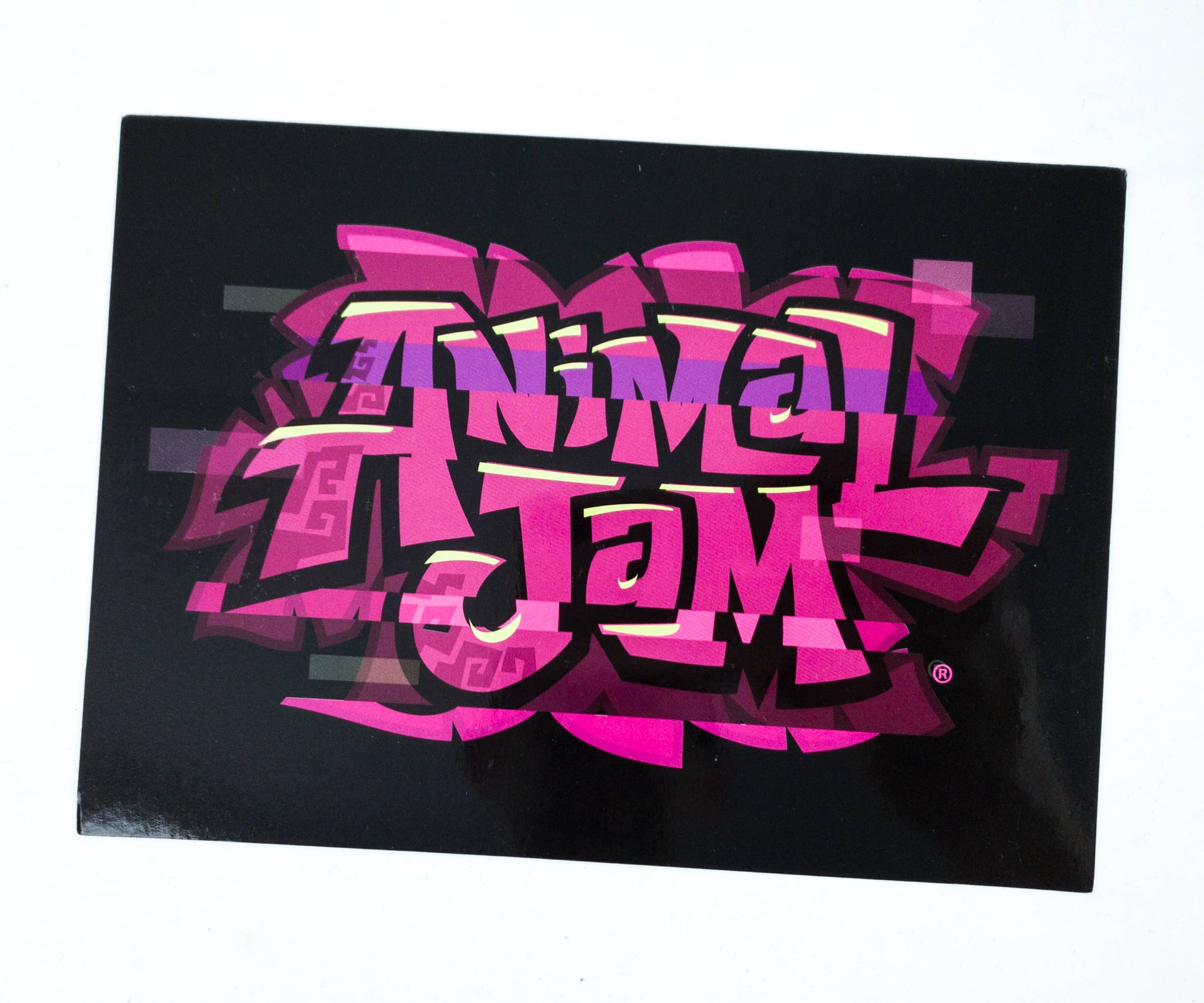 Animal Jam Box Winter 2019 Review - Hello Subscription