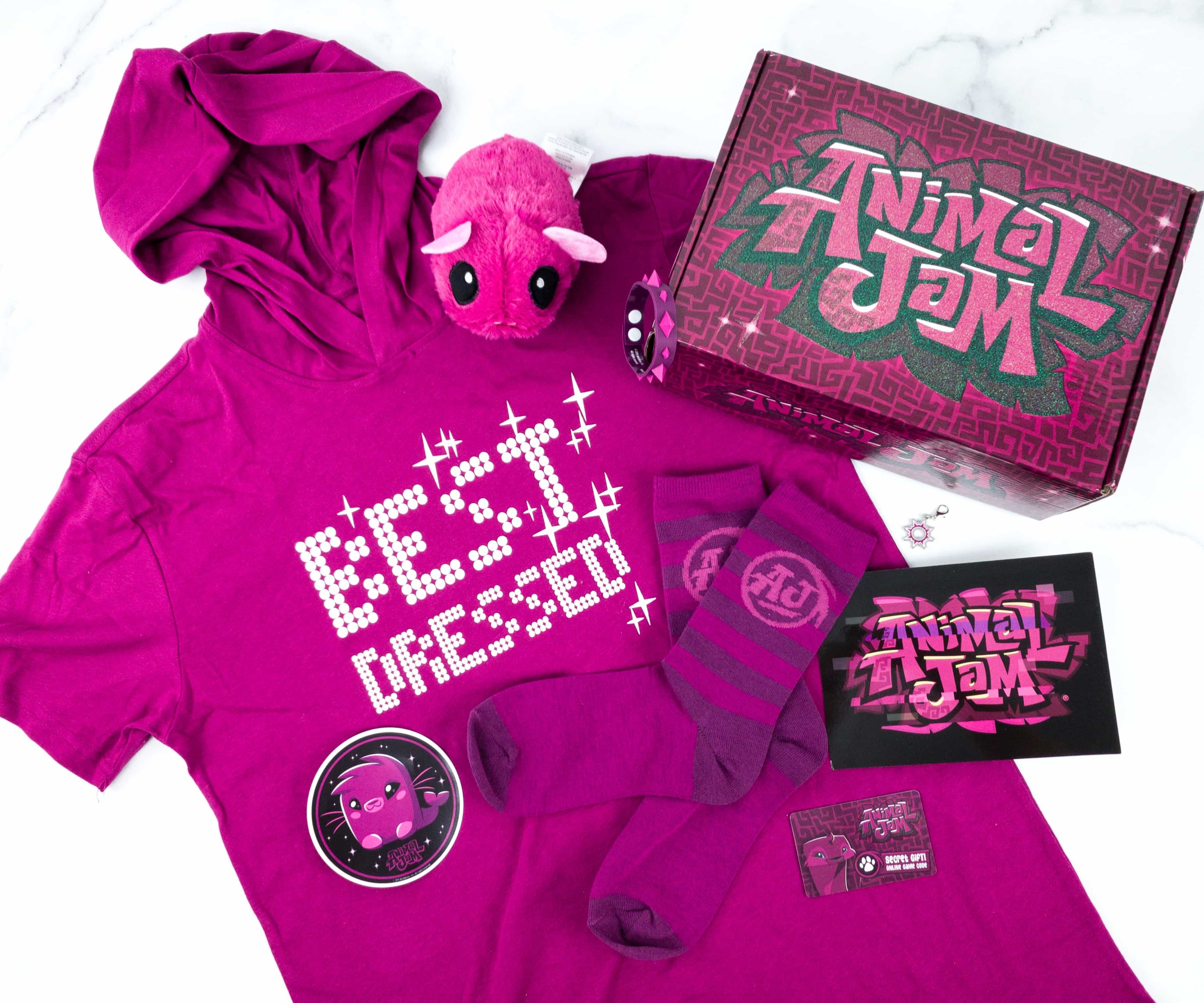 Animal Jam Box Winter 2019 Review - Hello Subscription