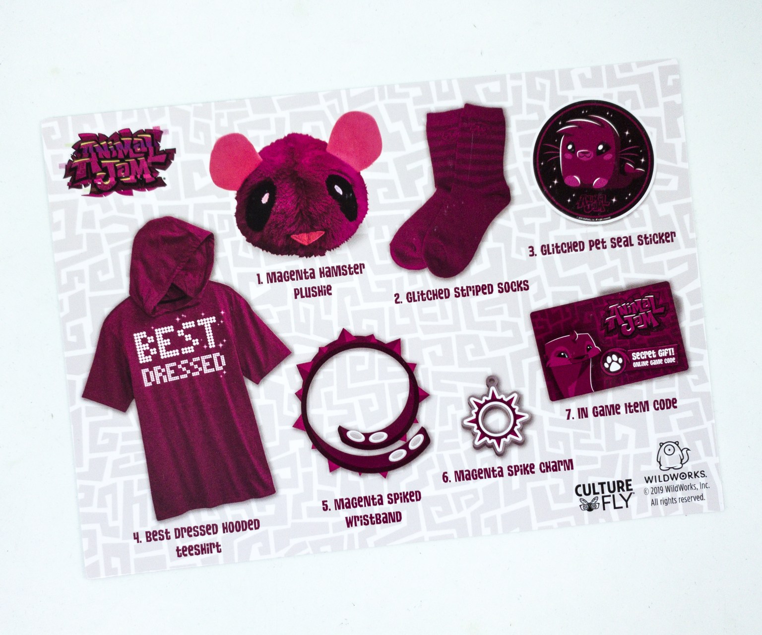 Animal Jam Box Winter 2019 Review - Hello Subscription