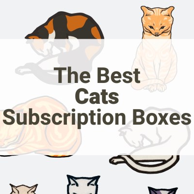 Gacha Gacha Crate October 2018 Full Spoilers - Hello Subscription