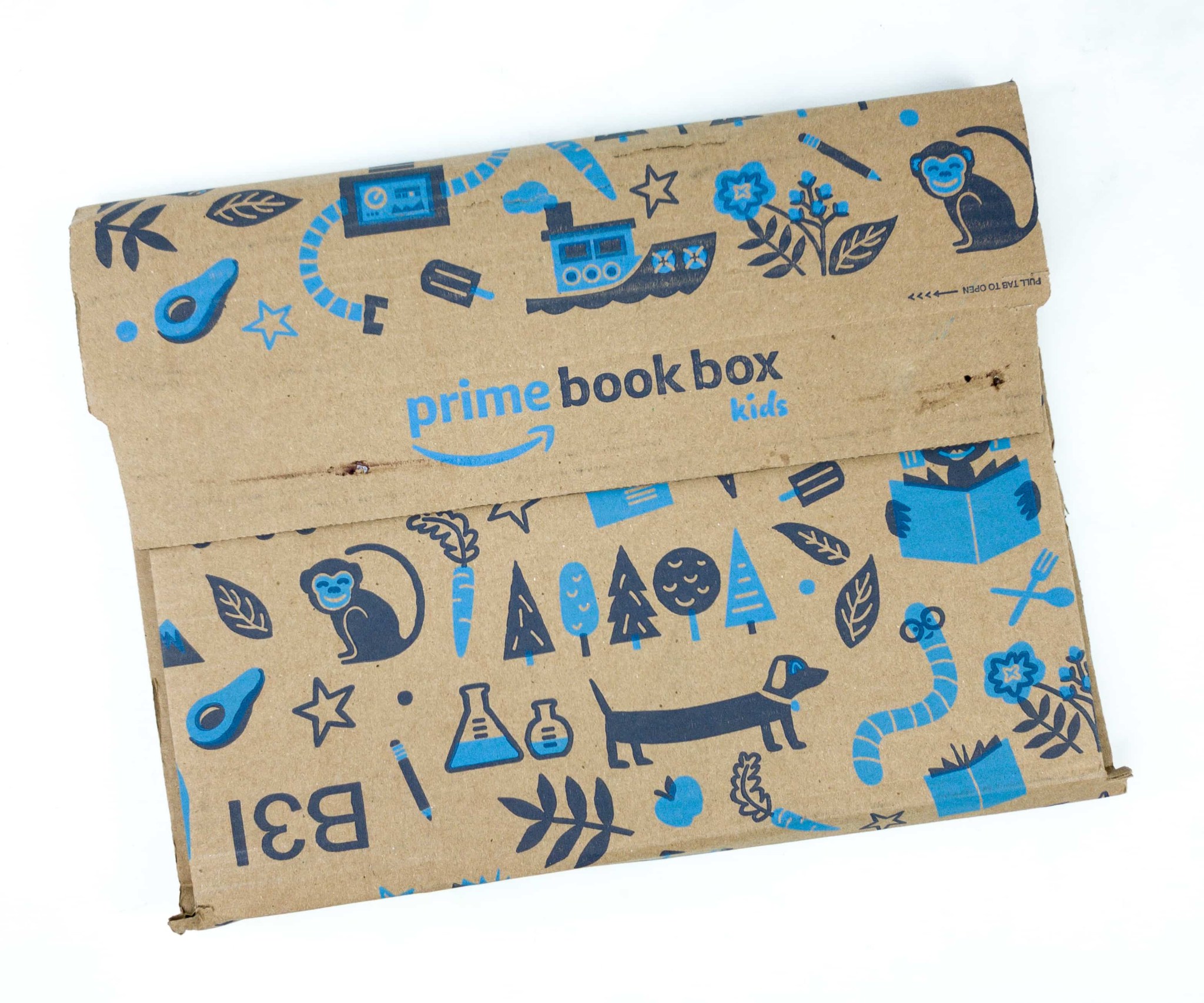 Amazon Book Box Kids January 2020 AGE 3-5 Review - Hello Subscription