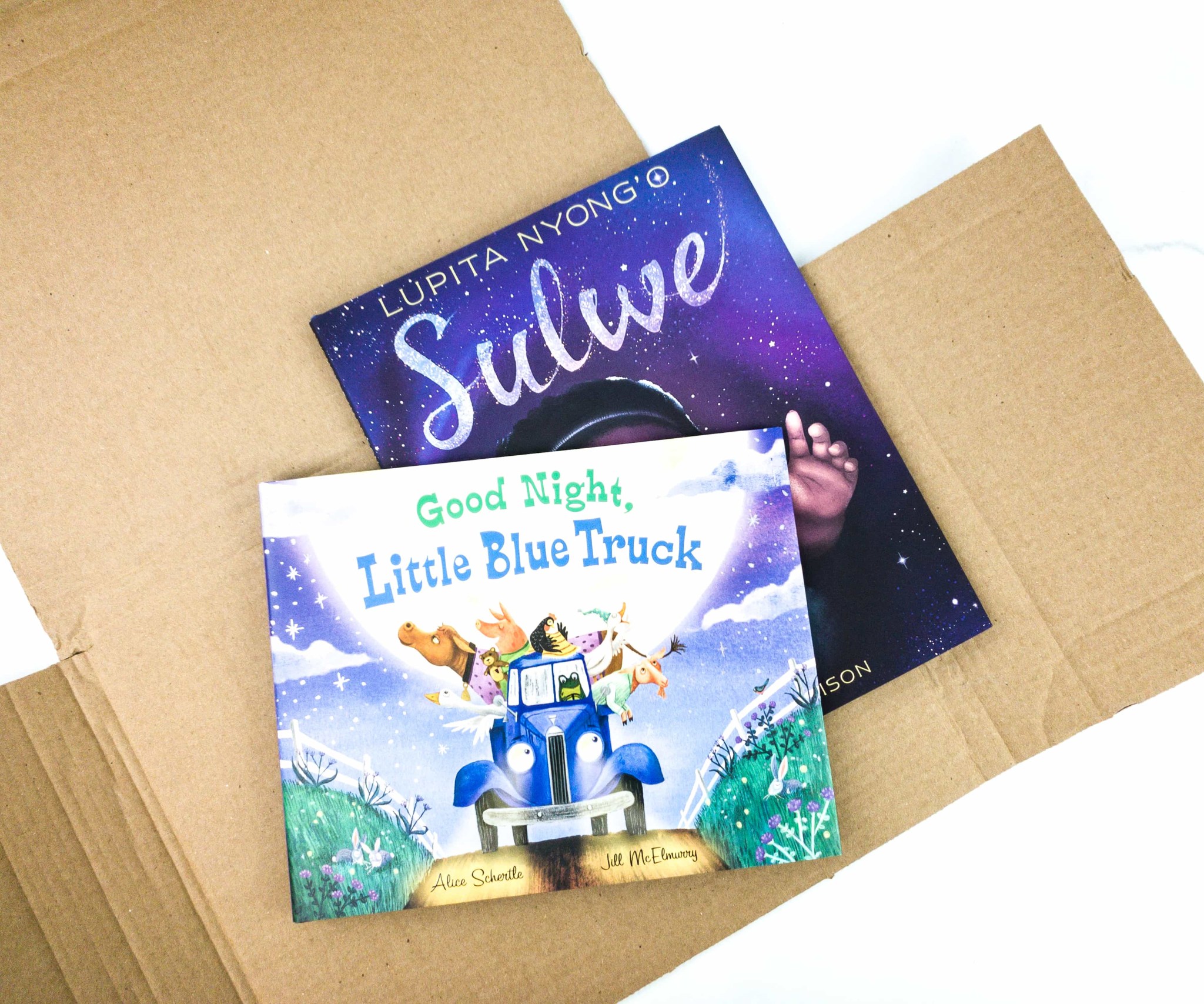 Amazon Book Box Kids January 2020 AGE 3-5 Review - Hello Subscription