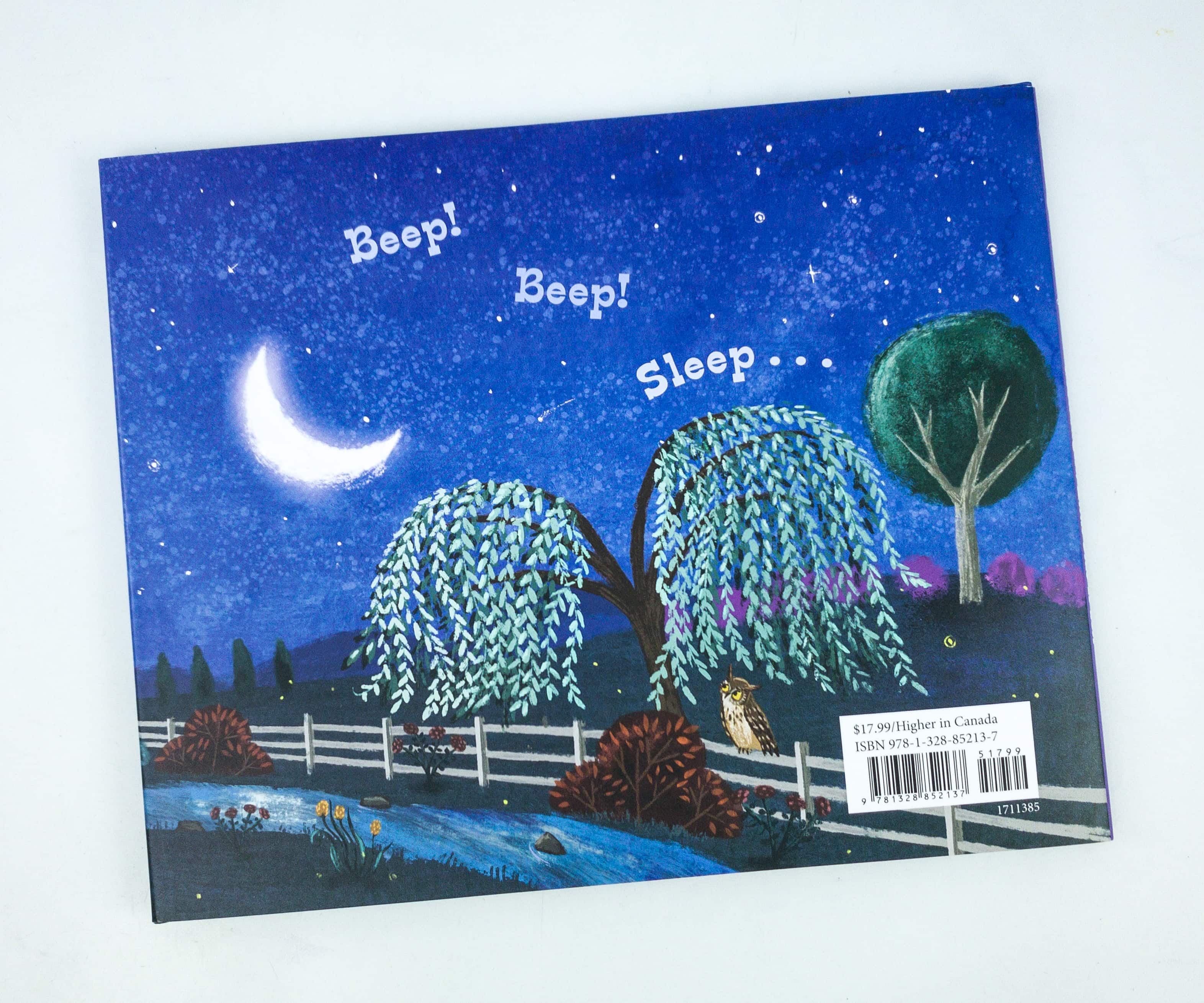 Amazon Book Box Kids January 2020 AGE 3-5 Review - hello subscription