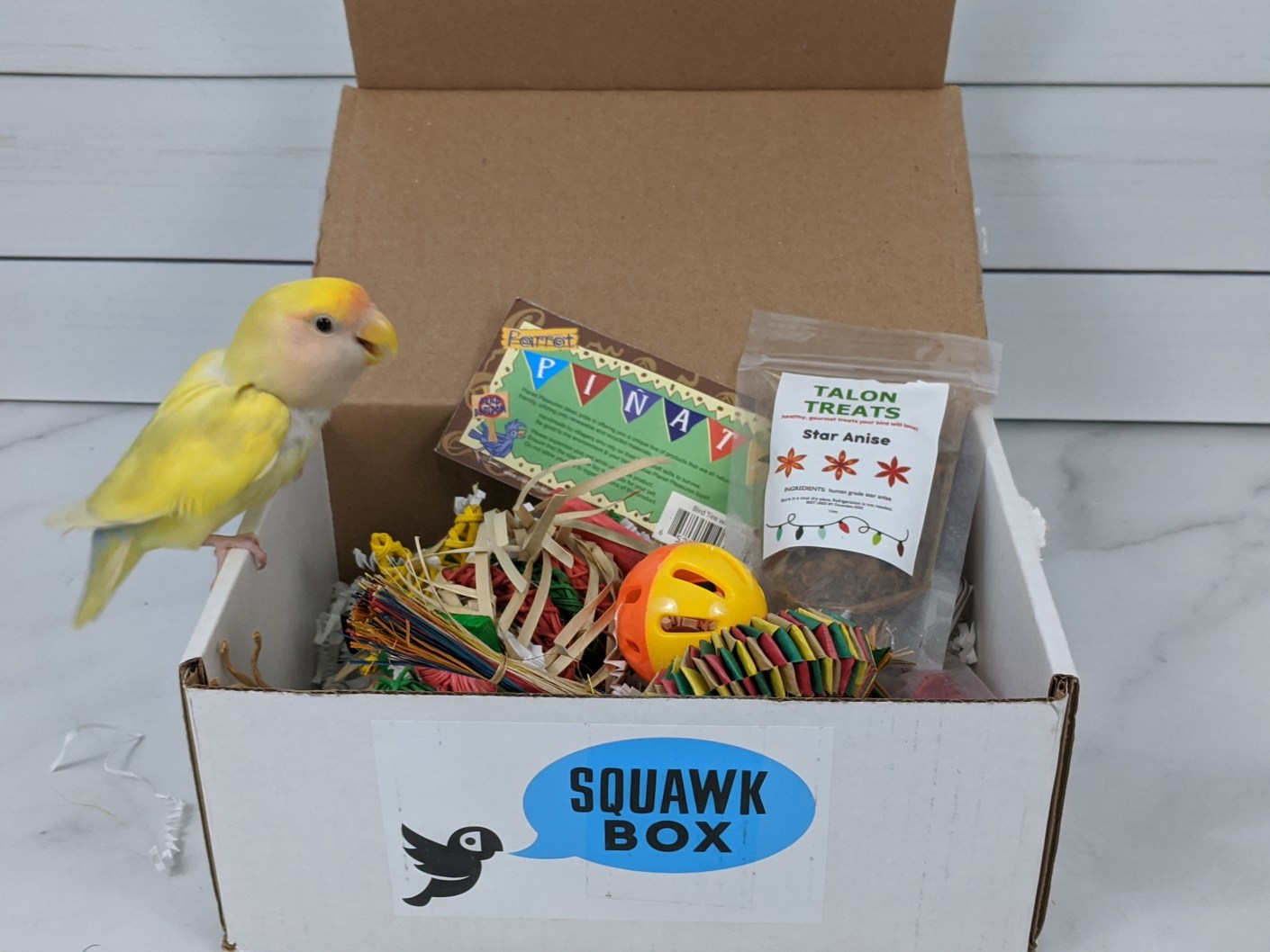 Squawk Box December 2019 Subscription Review - Hello Subscription