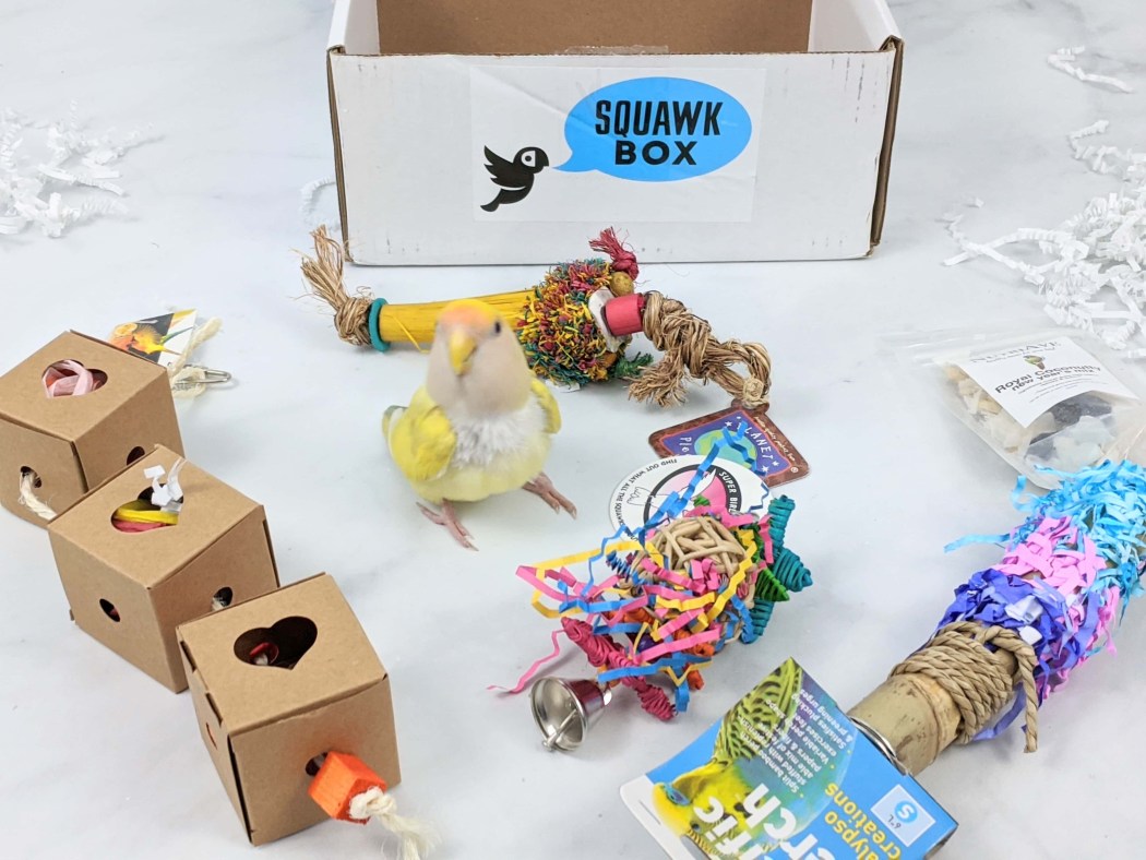 Squawk Box January 2020 Subscription Review - Hello Subscription